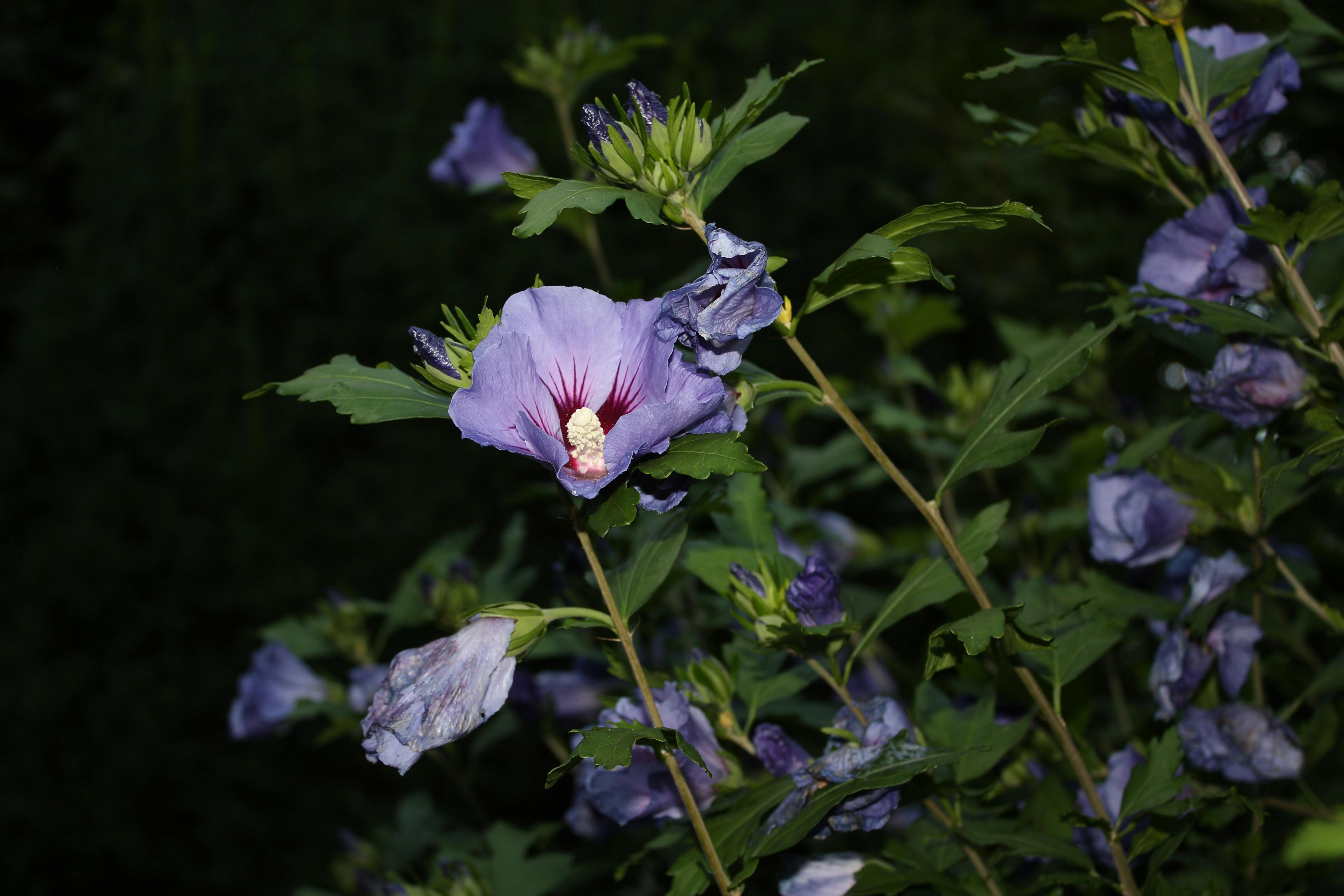 Stephan Lill – Fotografie