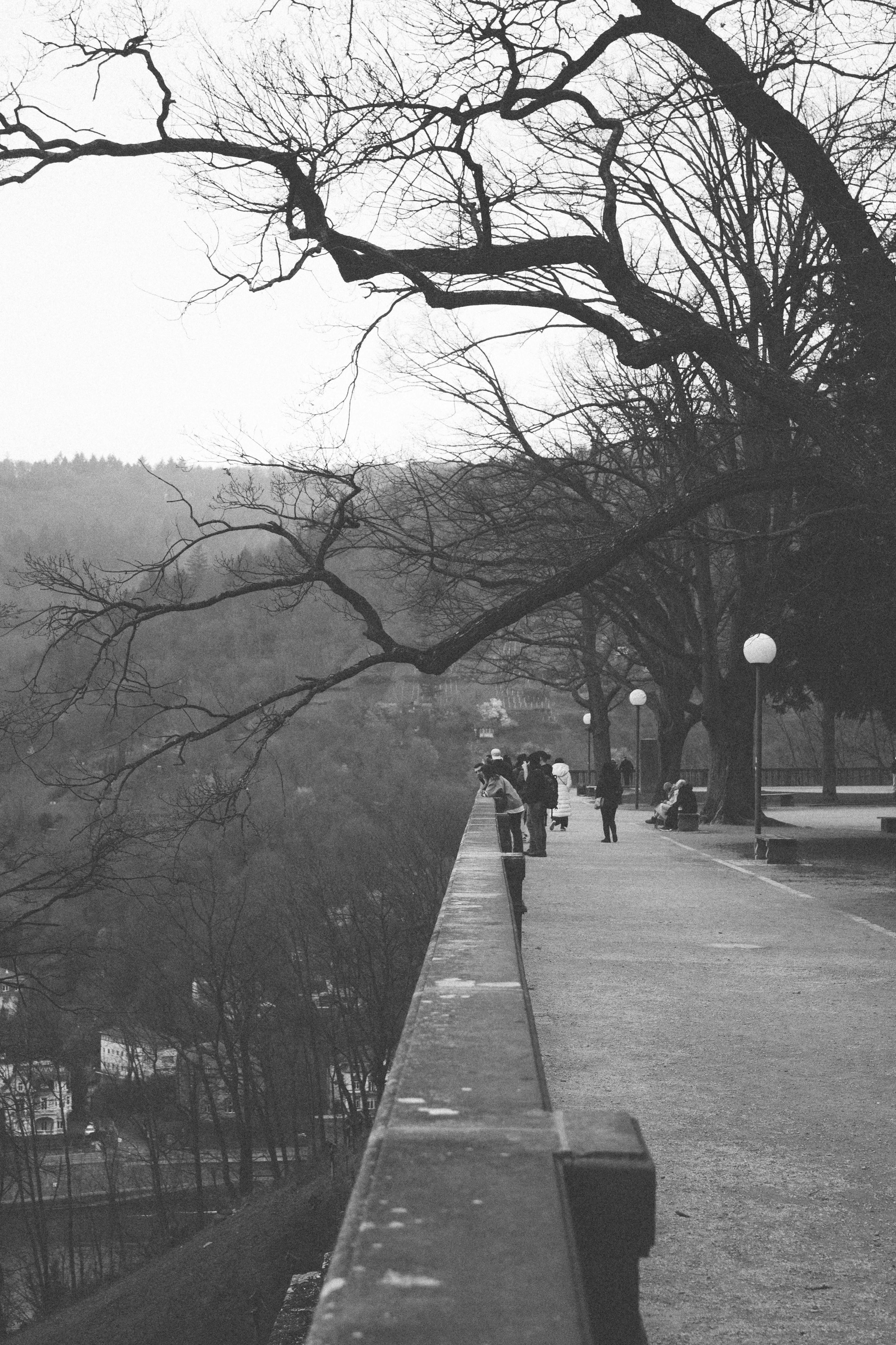 Heidelberg Park Photos, Download The BEST Free Heidelberg Park Stock ...