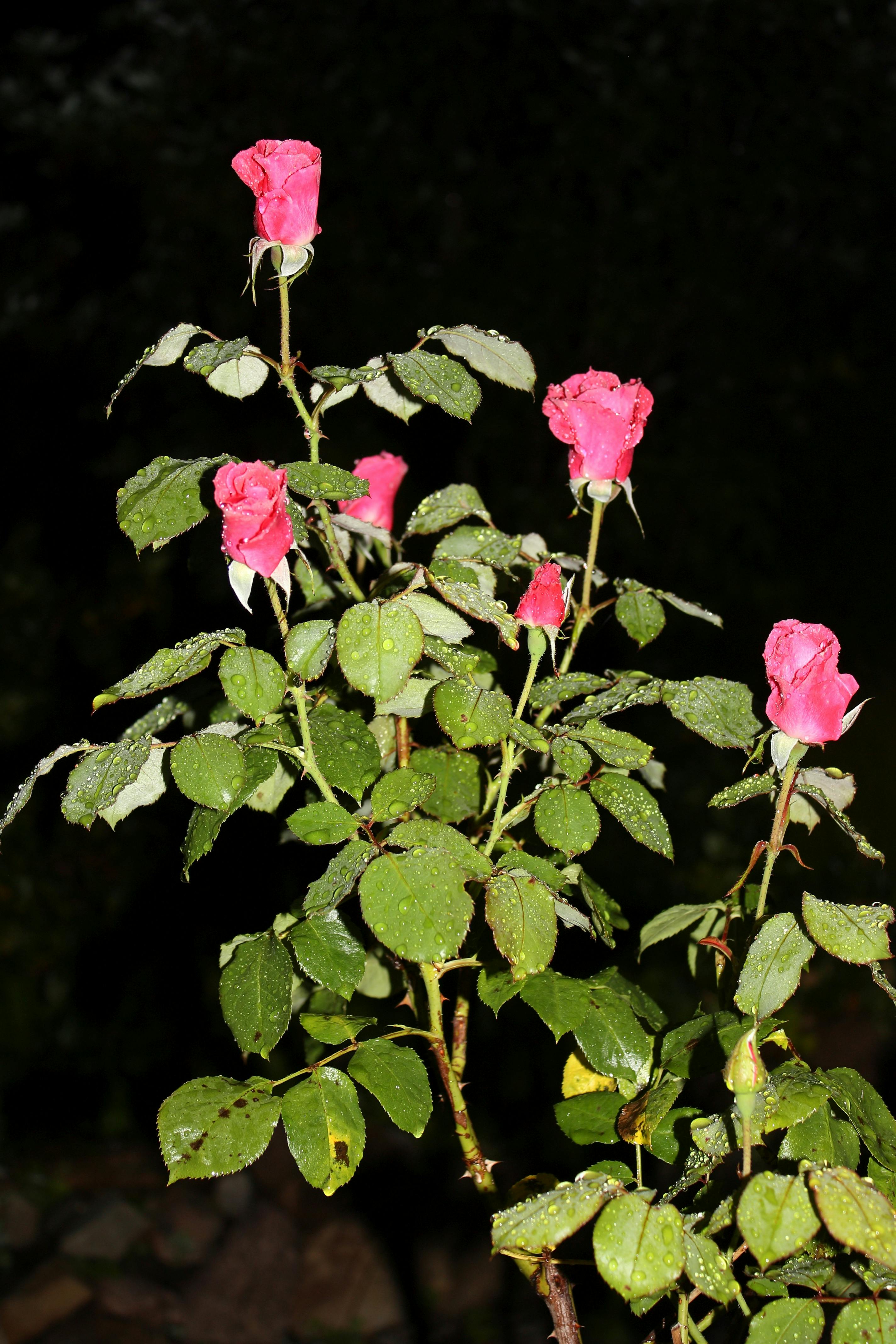 Stephan Lill – Fotografie