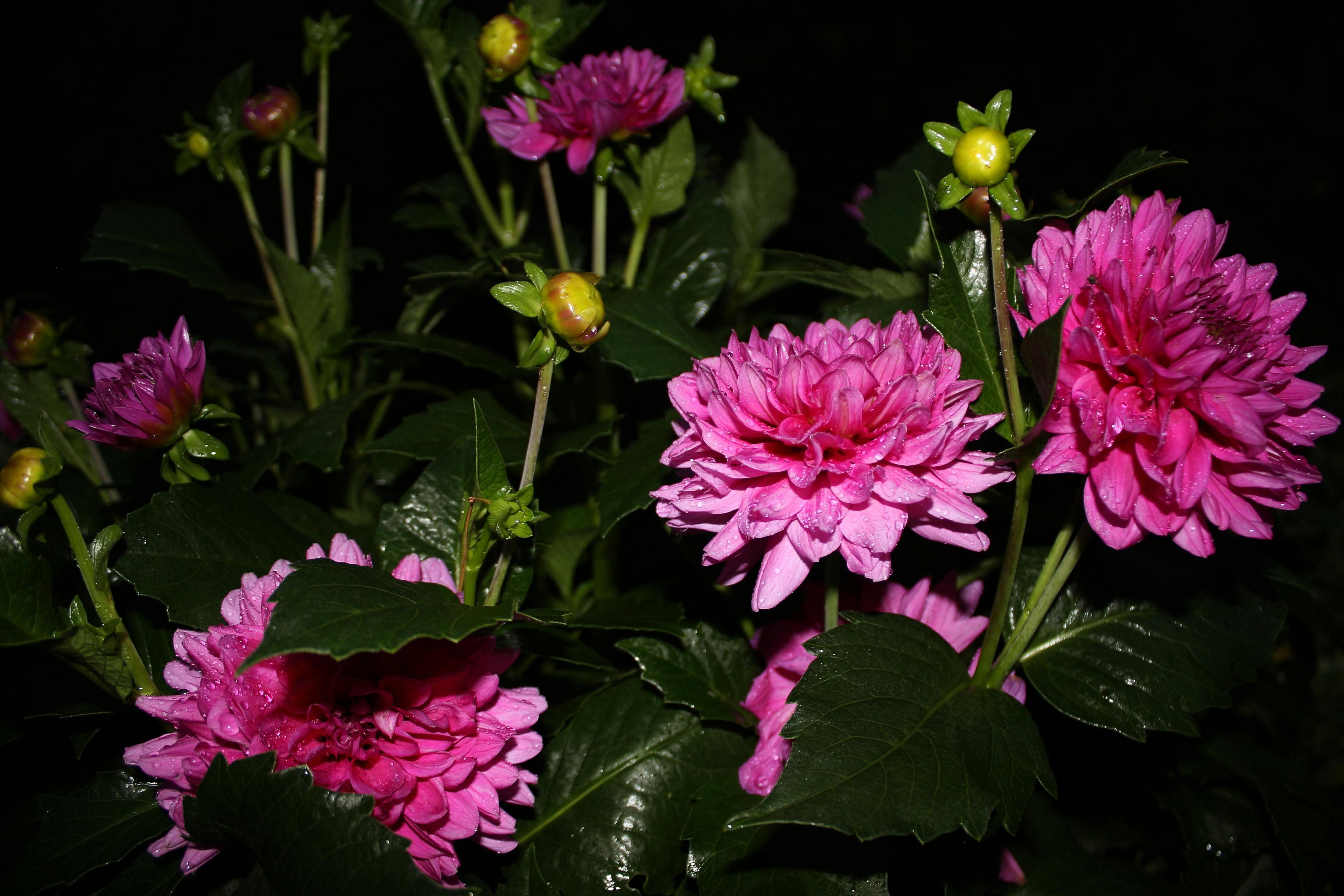 Stephan Lill – Fotografie