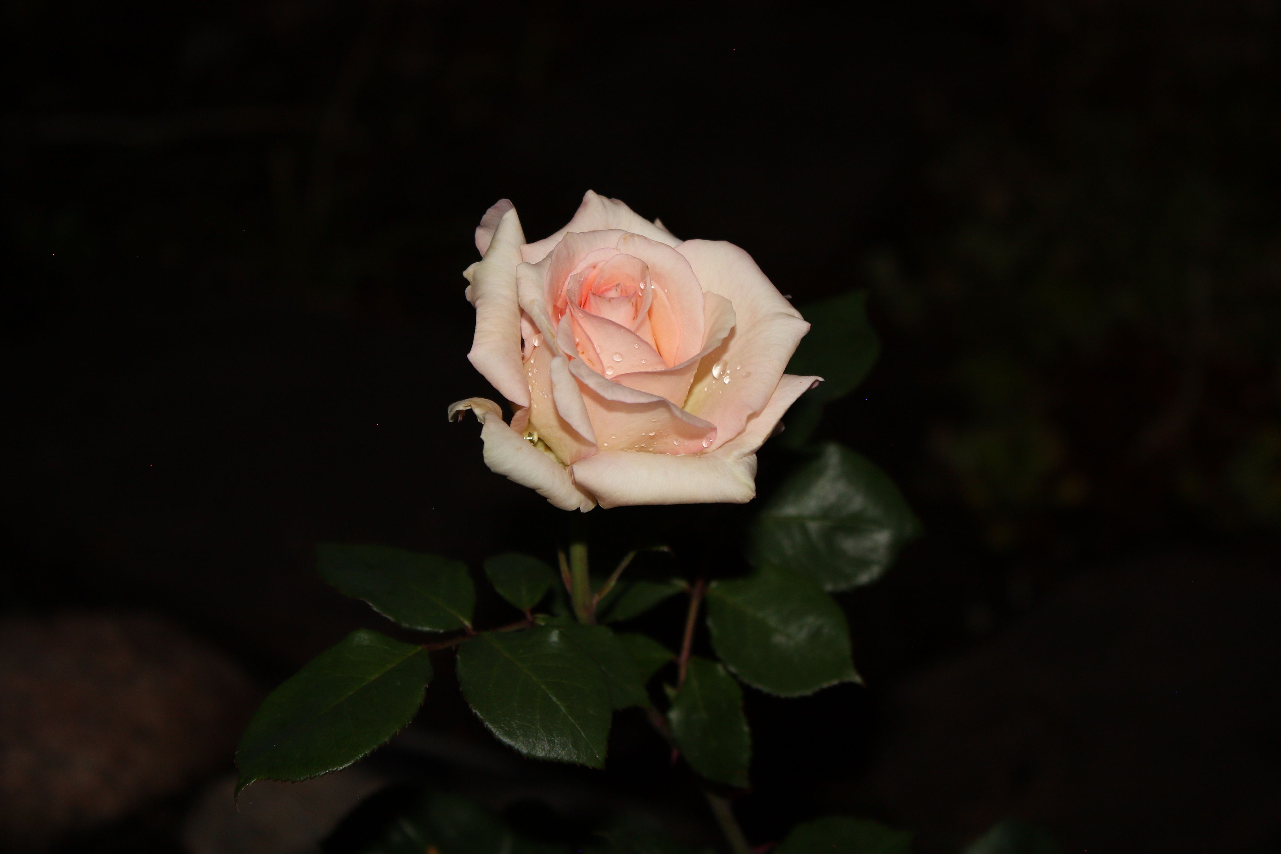 Stephan Lill – Fotografie