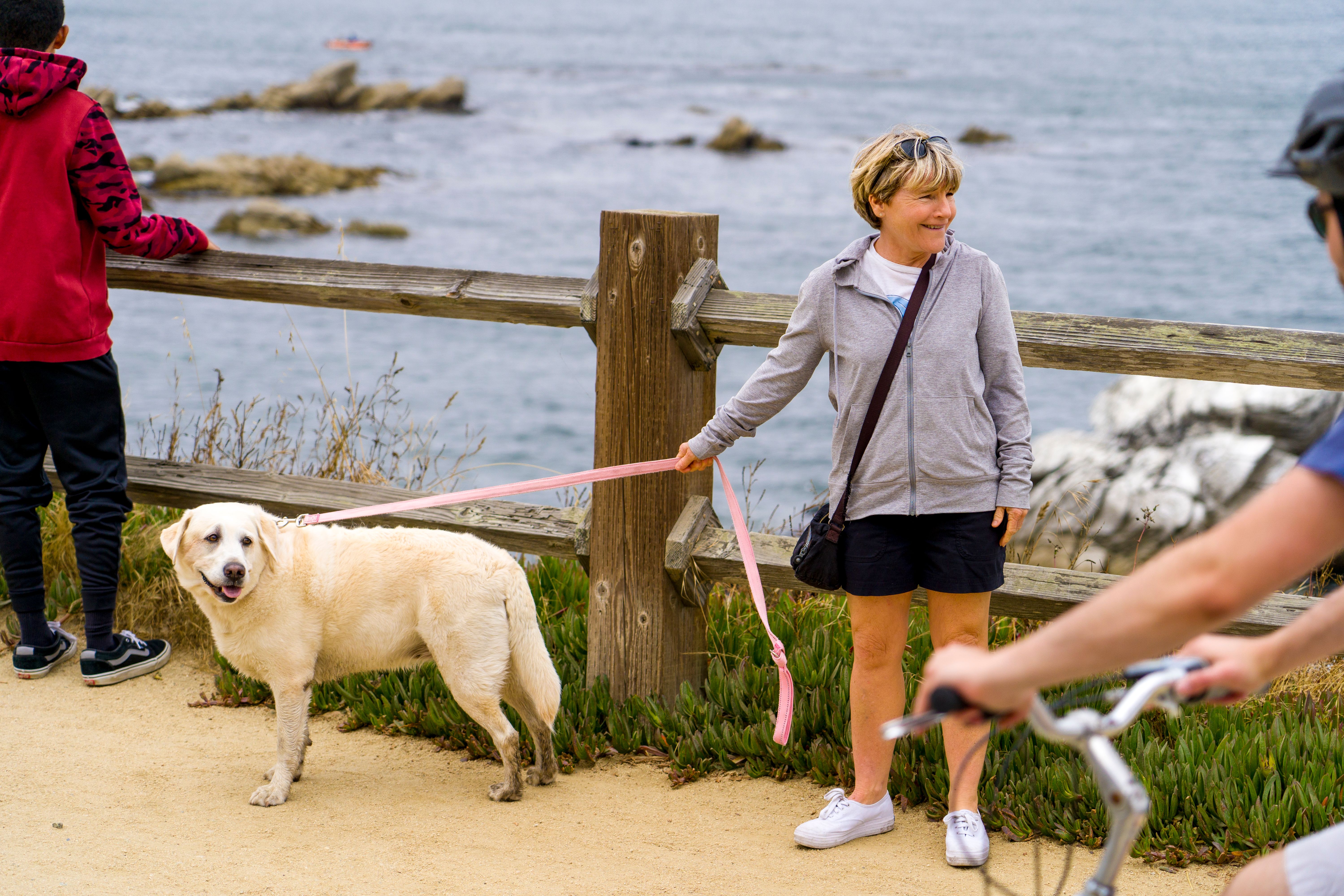Woman with Dog on Leash · Free Stock Photo