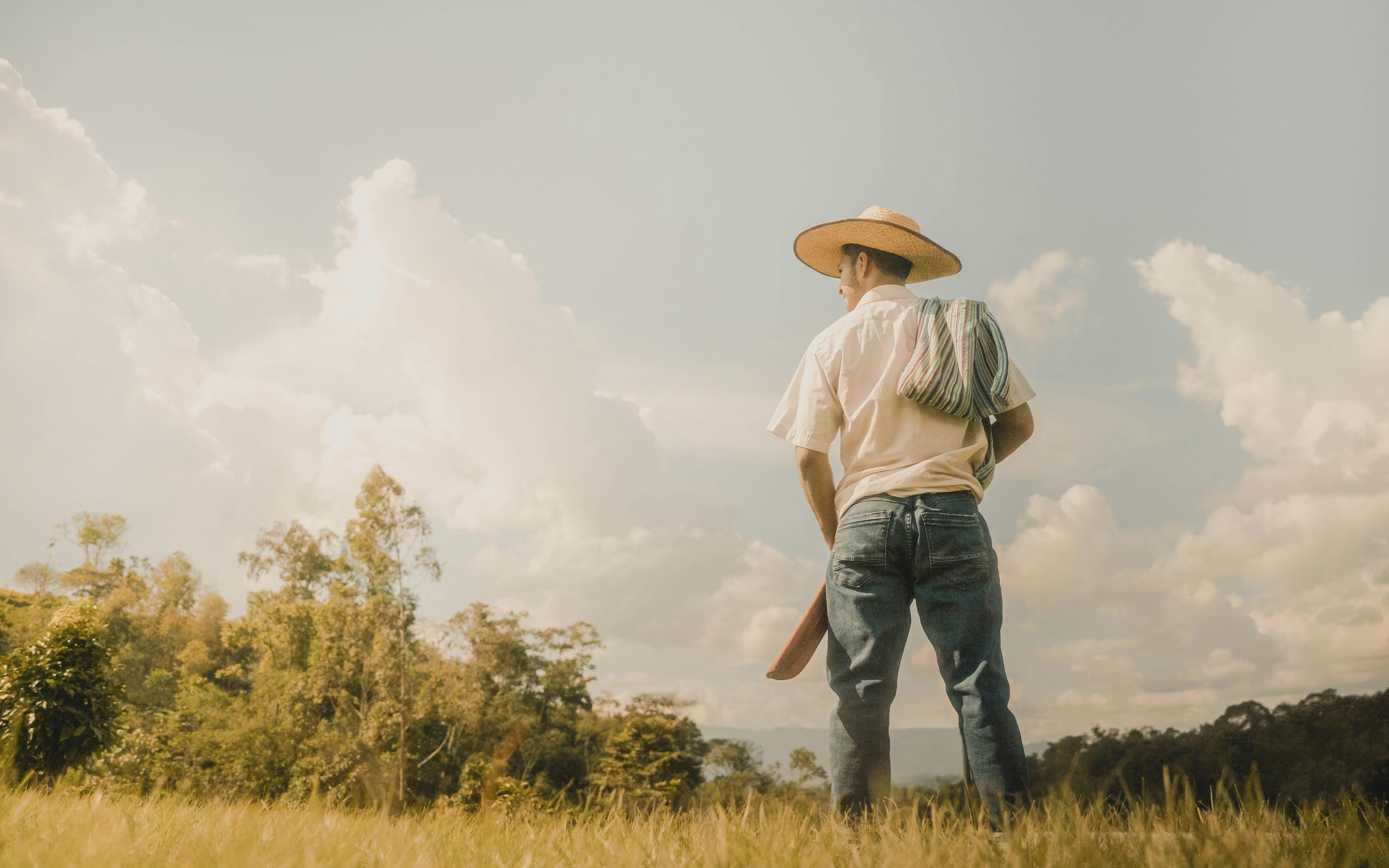 Man Wearing Straw Hat on a Field · Free Stock Photo