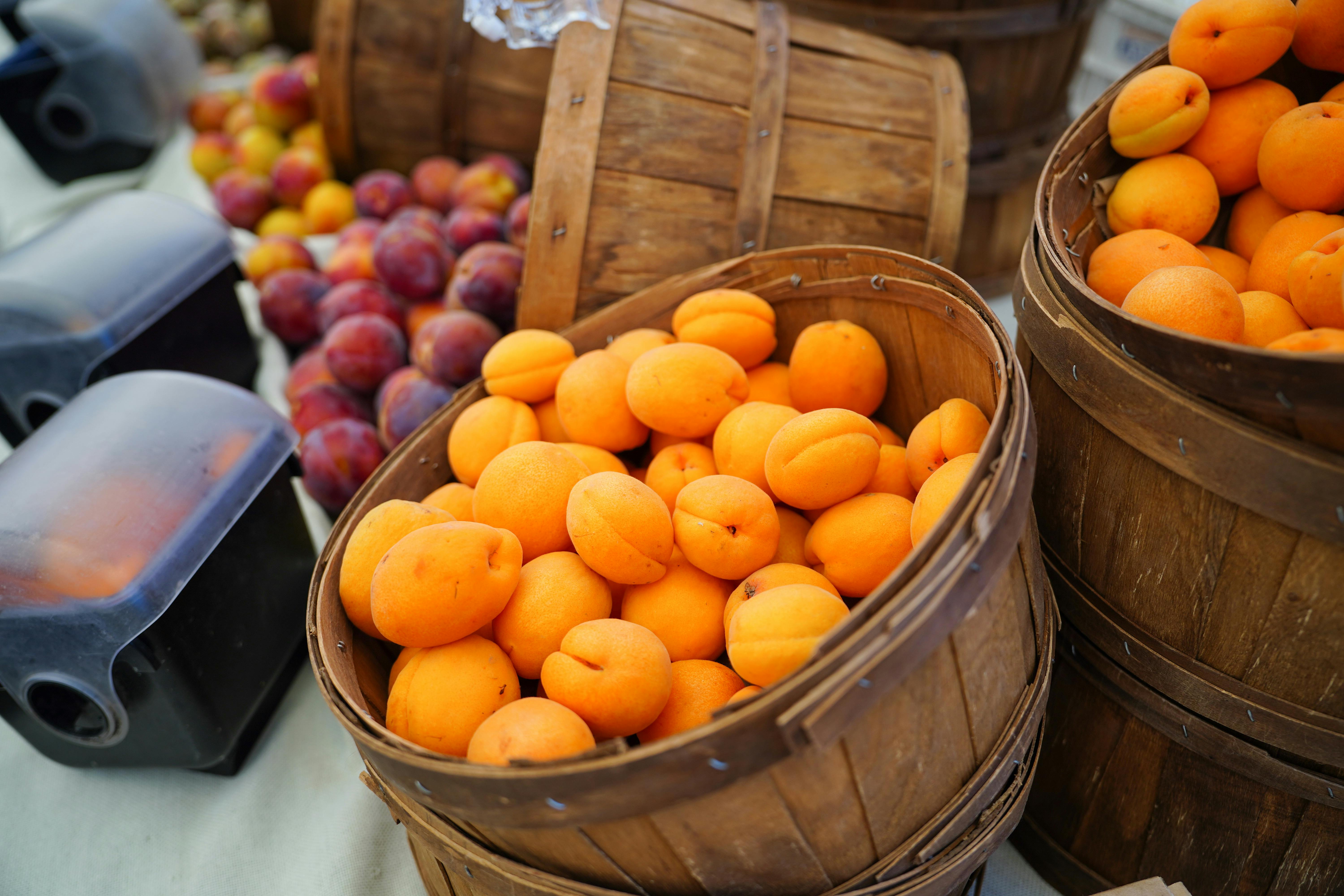 Apricots in Baskets on Bazaar · Free Stock Photo