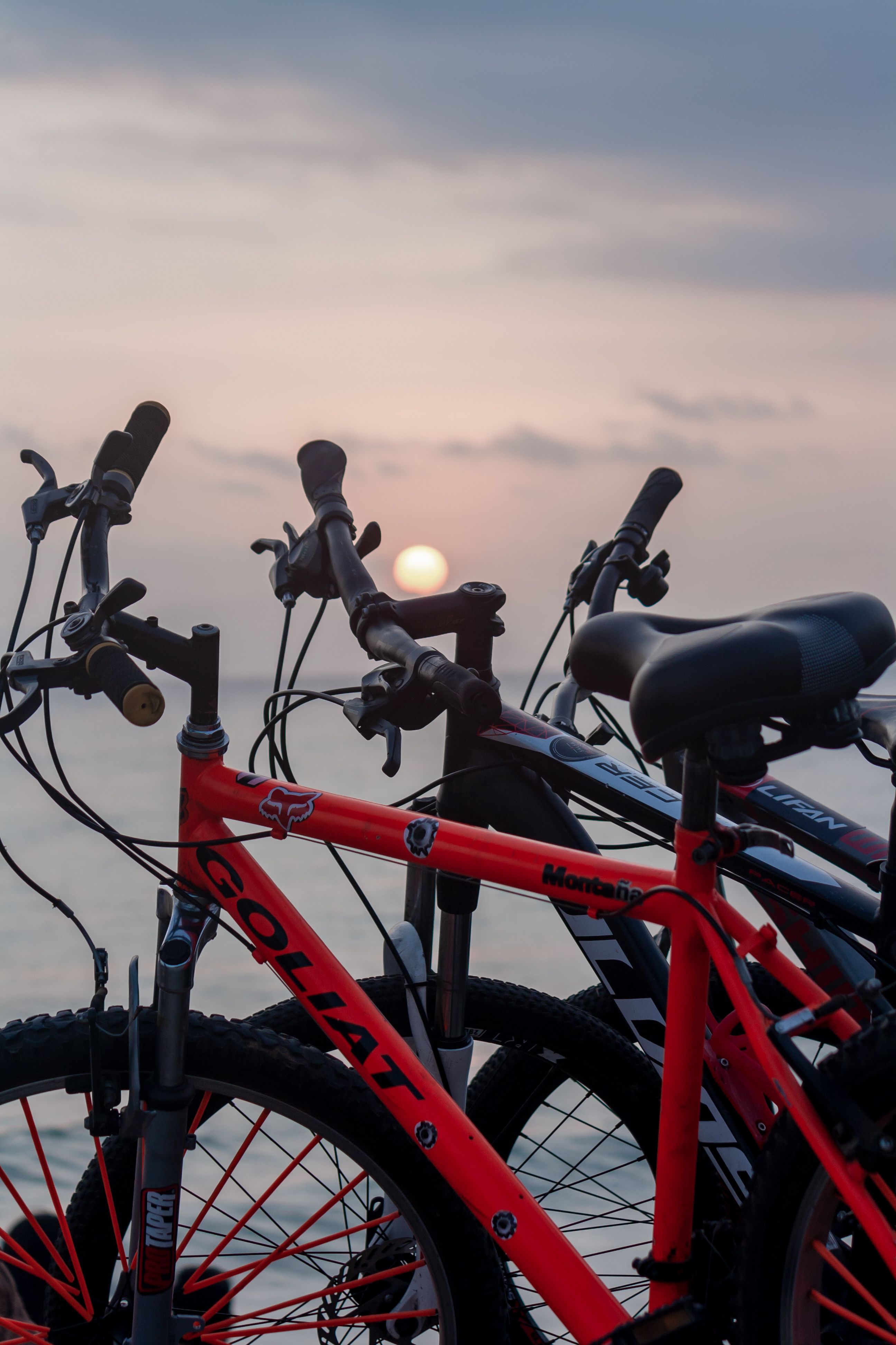 Italian Bikes Photos, Download The BEST Free Italian Bikes Stock Photos ...