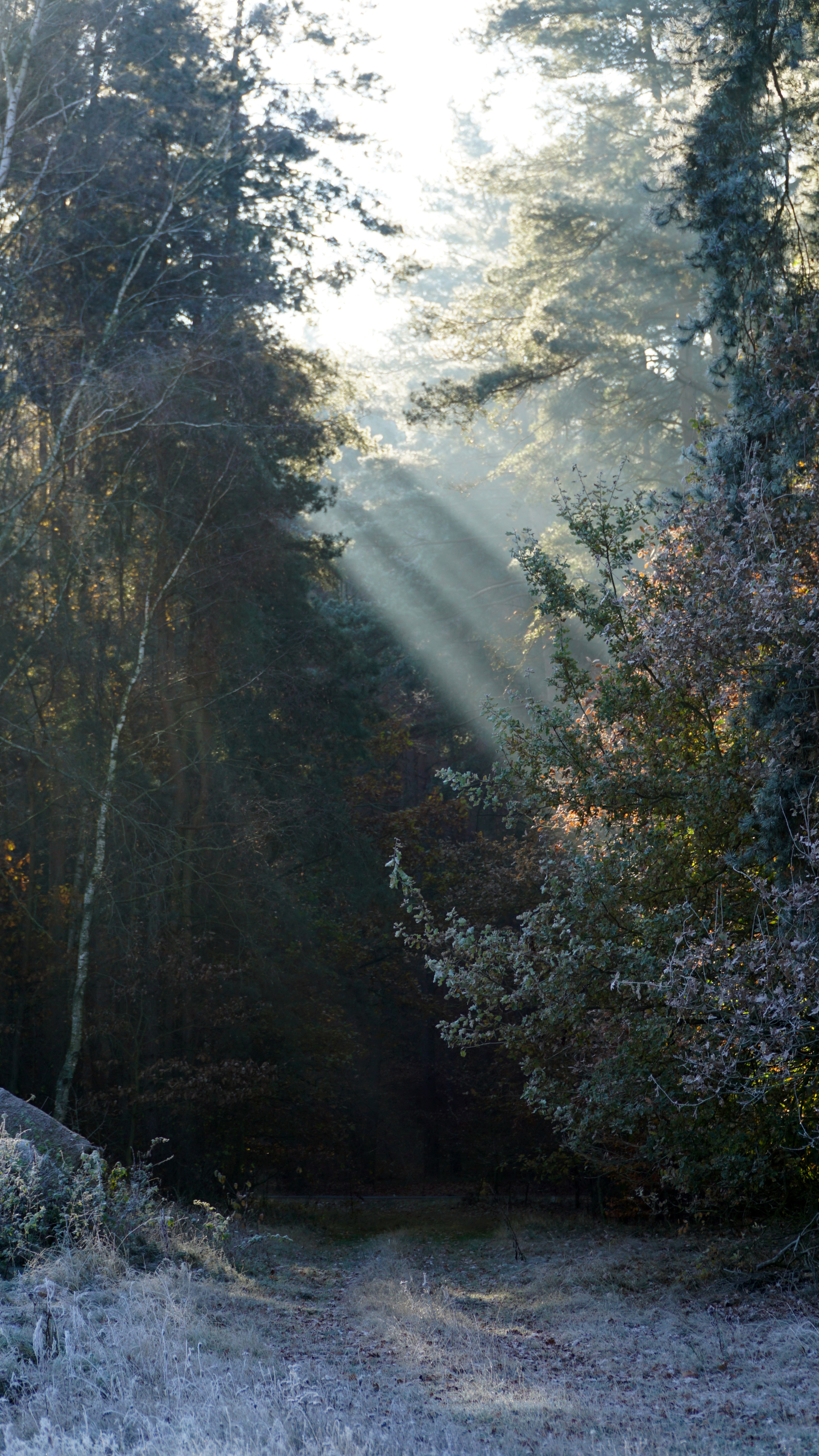 Secret Rays Of Light Photos, Download The BEST Free Secret Rays Of ...