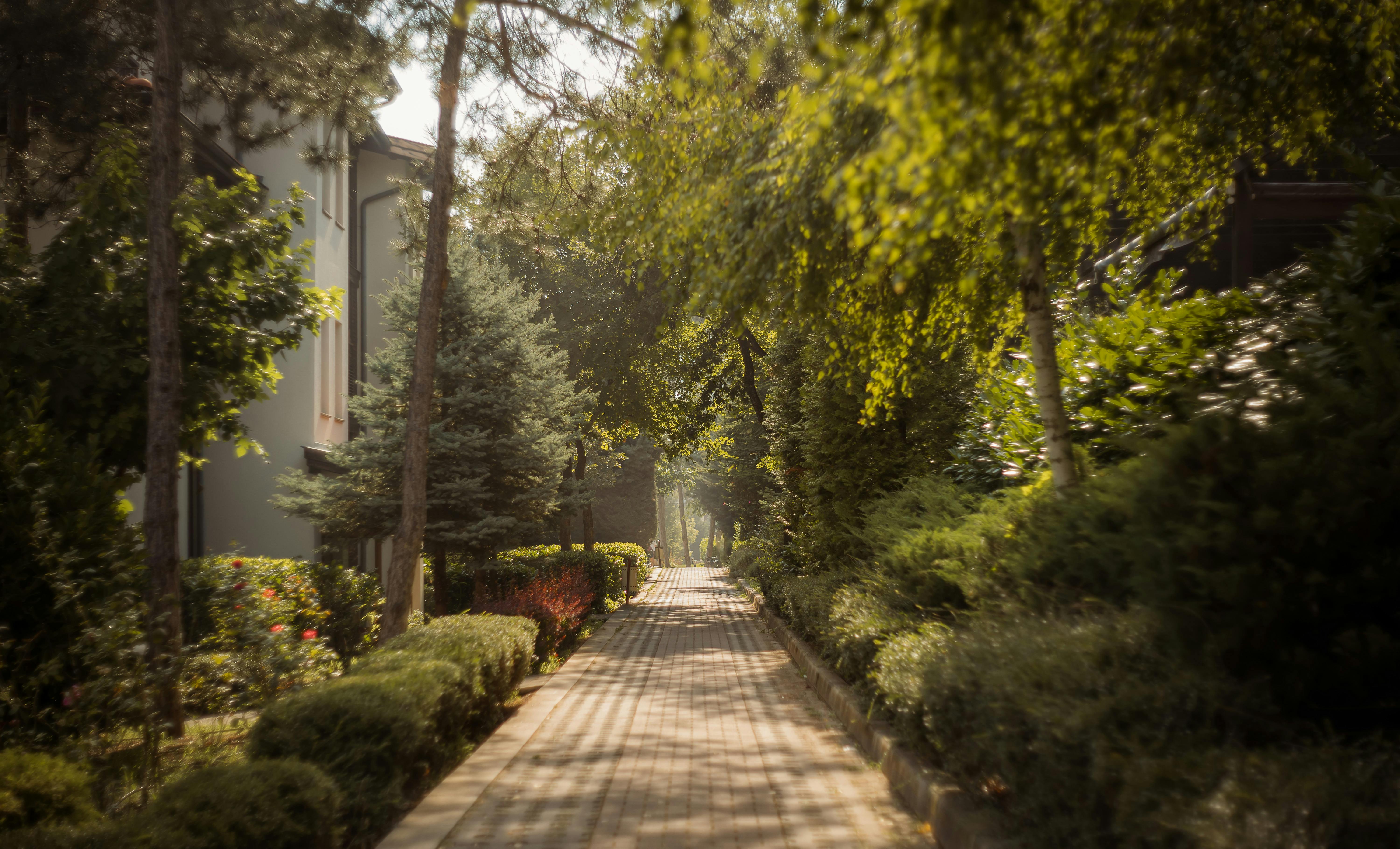 Path Path Photos, Download The BEST Free Path Path Stock Photos & HD Images