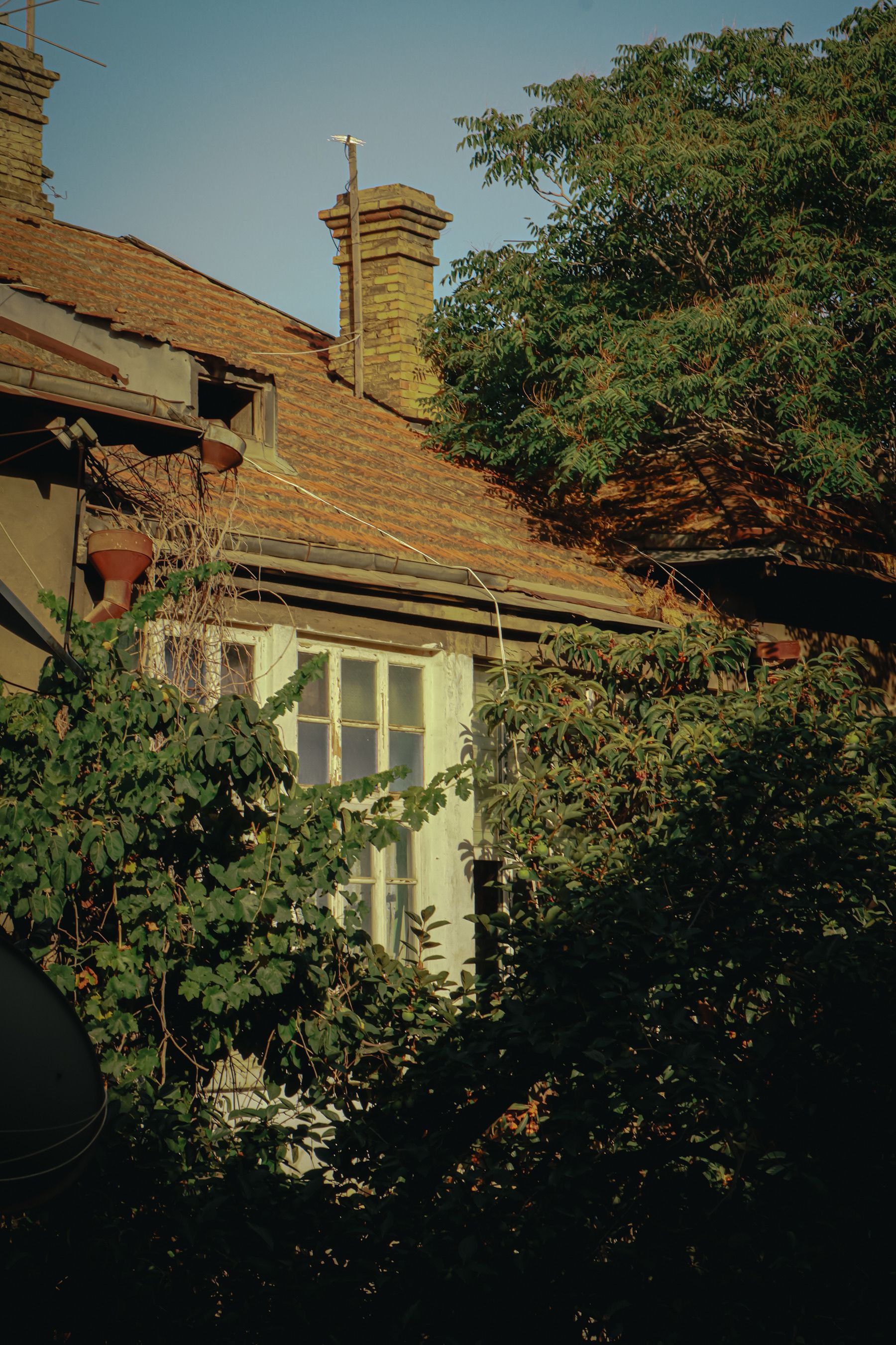 Pexels House Garden Photos, Download The BEST Free Pexels House Garden ...