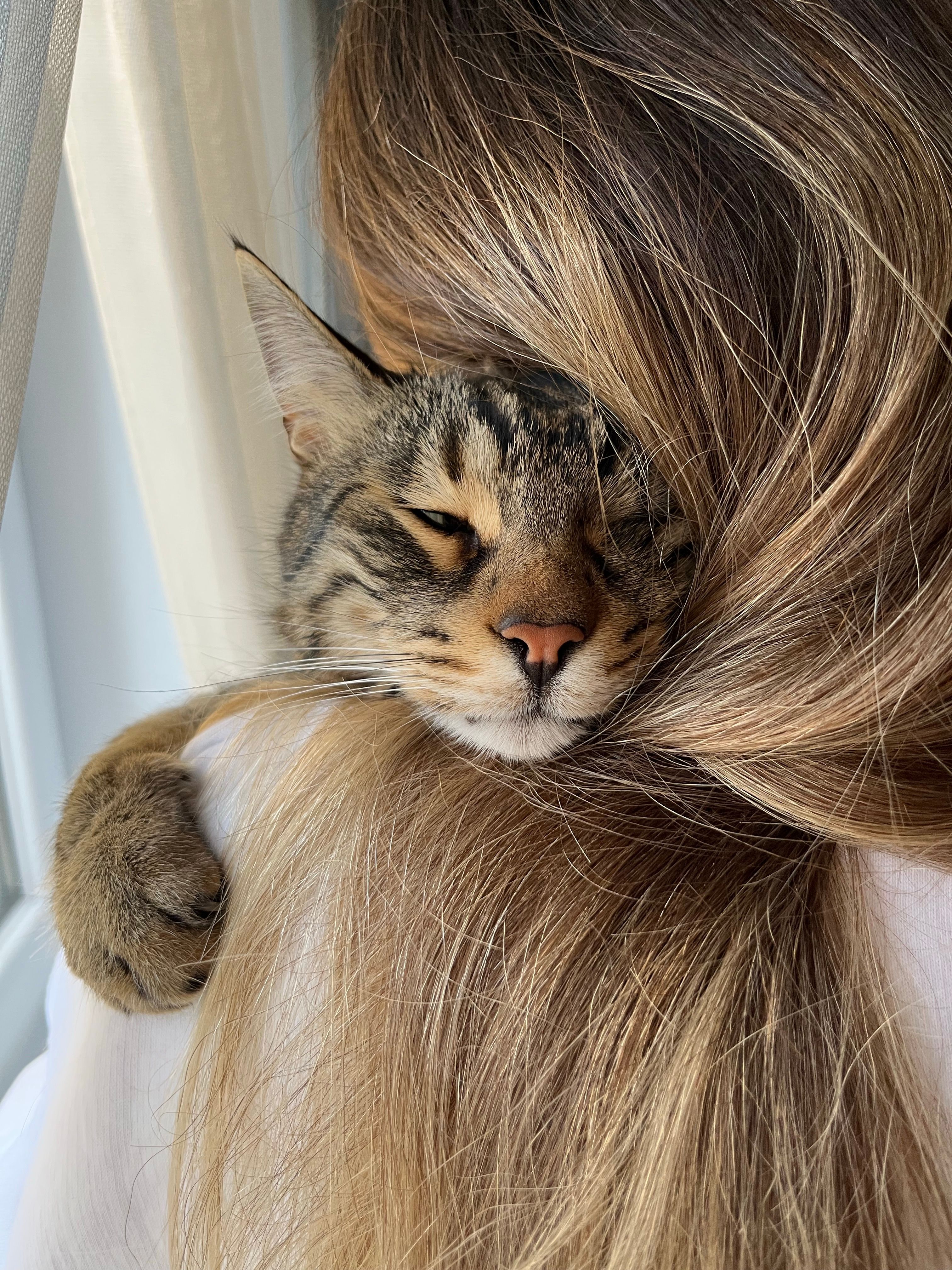 Smiling Blonde Woman Hugging Cat · Free Stock Photo