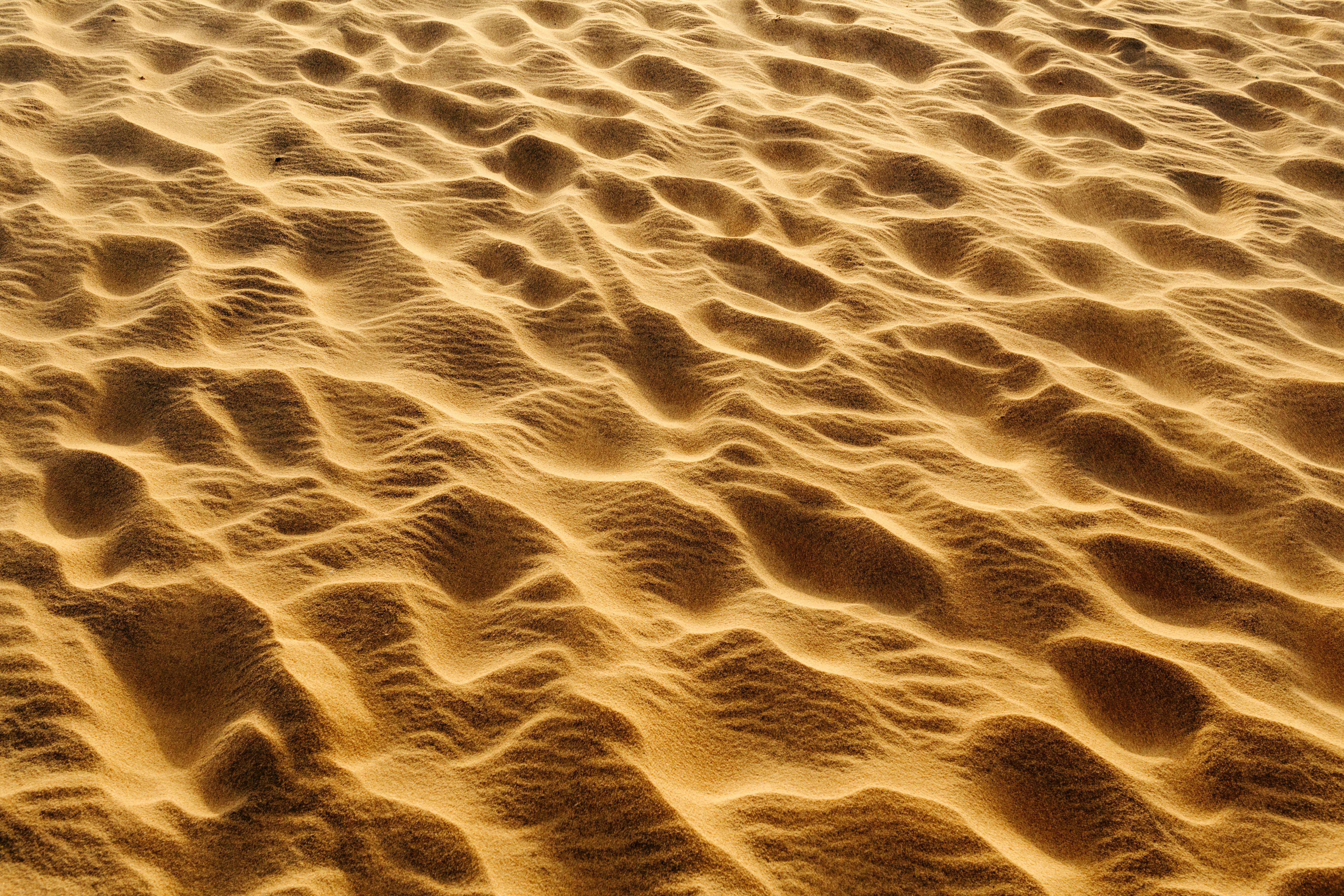 Wrinkles on Sand · Free Stock Photo