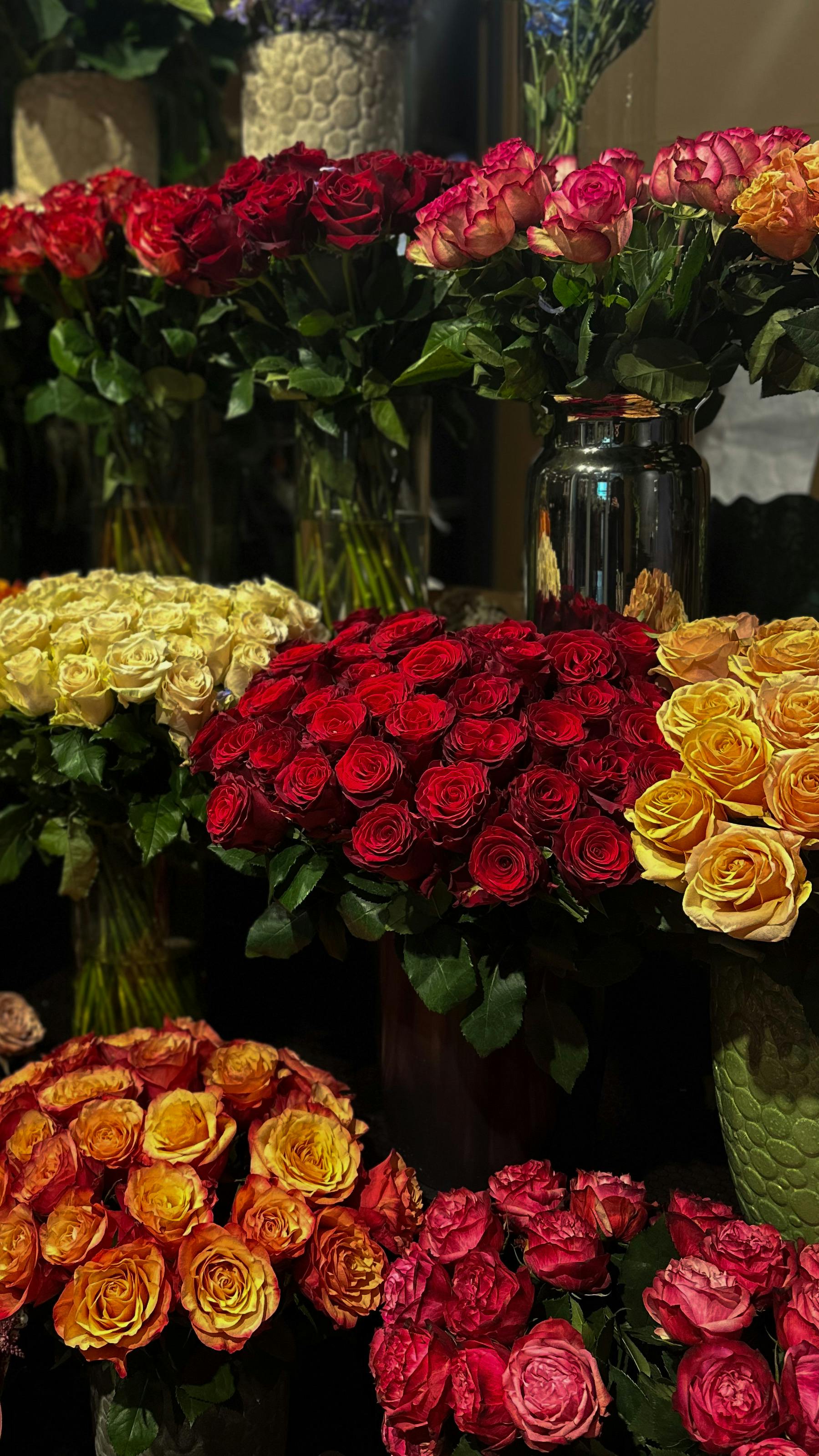 Florist Display with Roses · Free Stock Photo