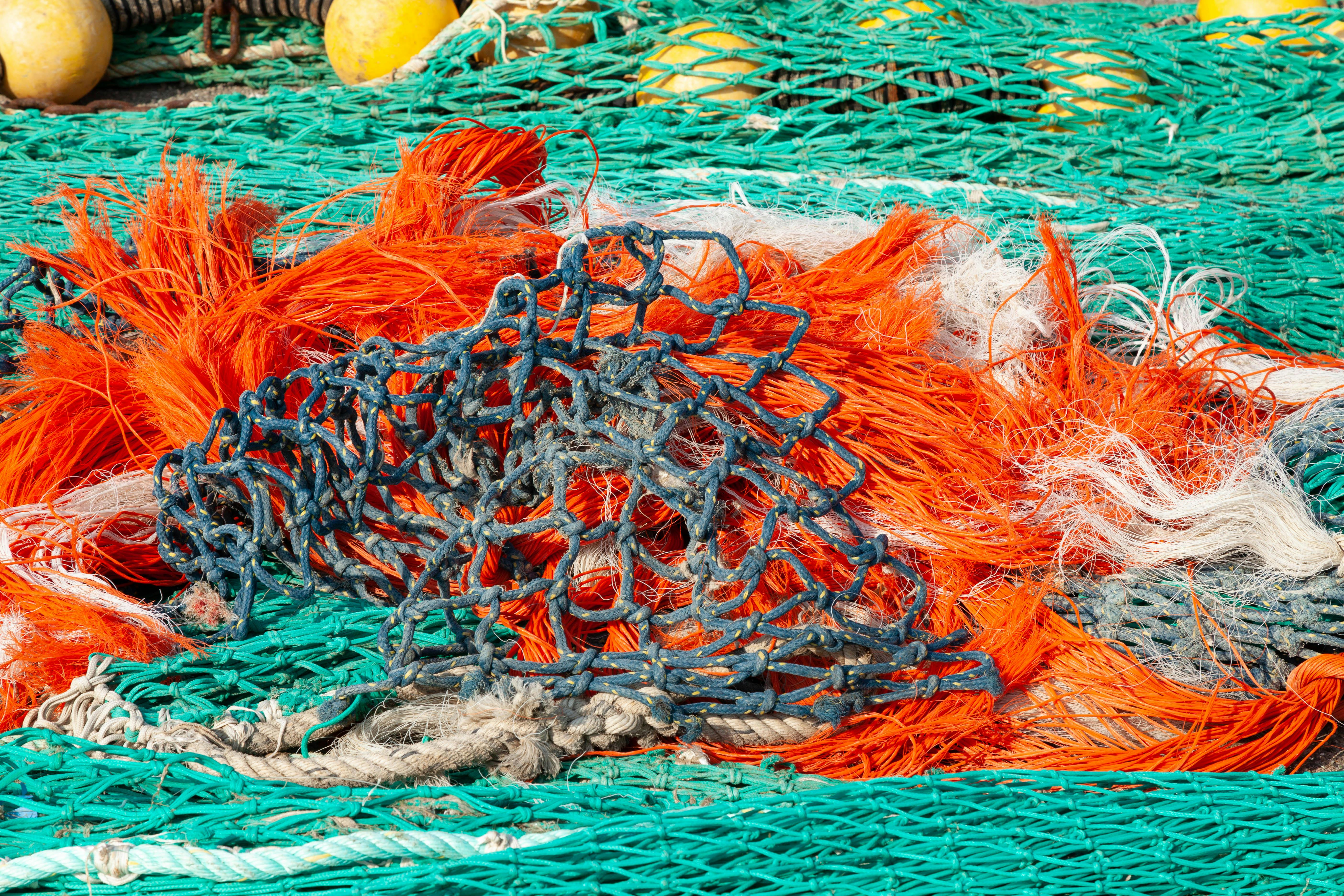 Bundle of Fishing Nets · Free Stock Photo