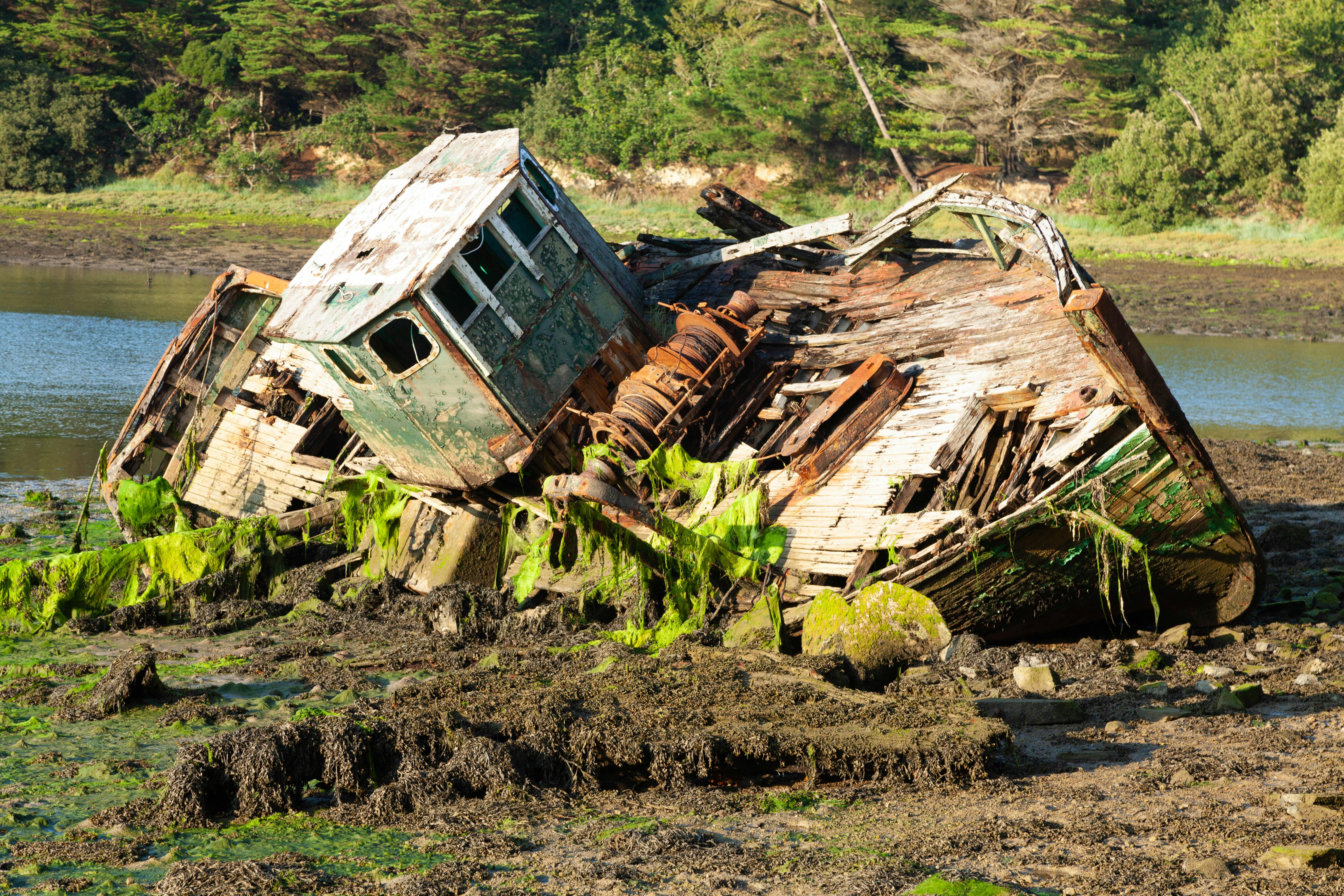 Decaying Boat Wreck · Free Stock Photo