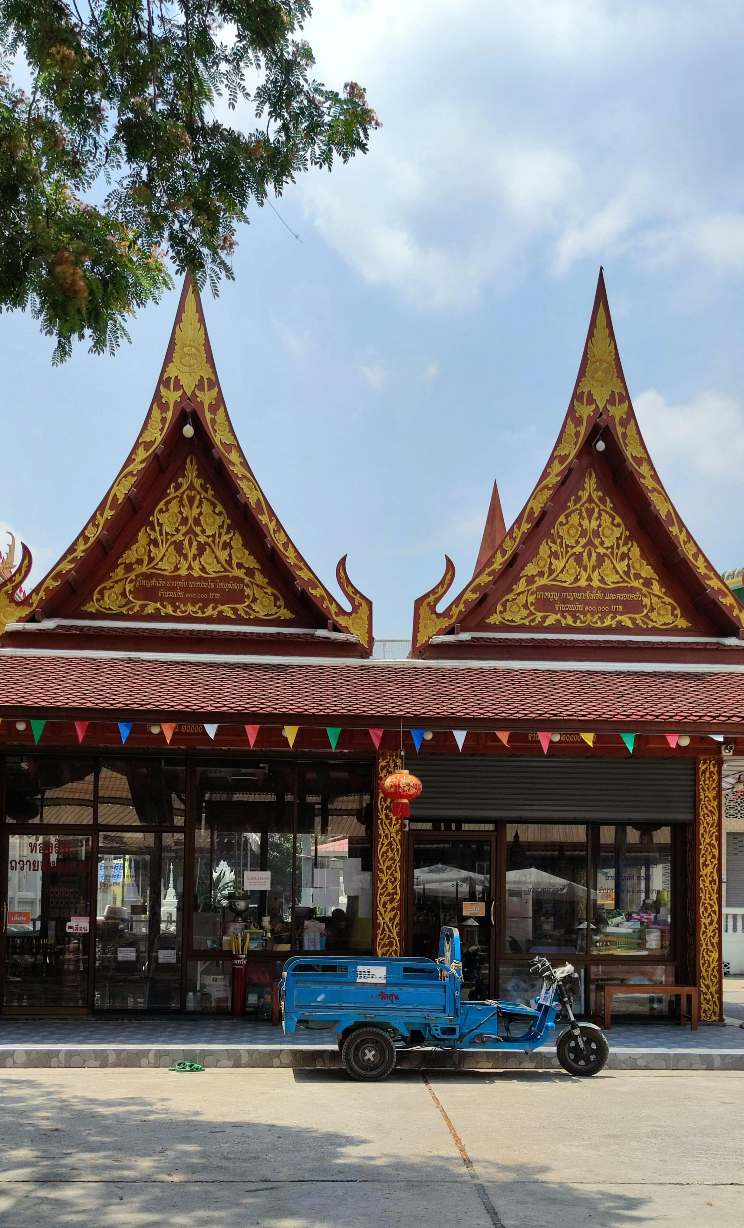 ana simona bevecz - Photography