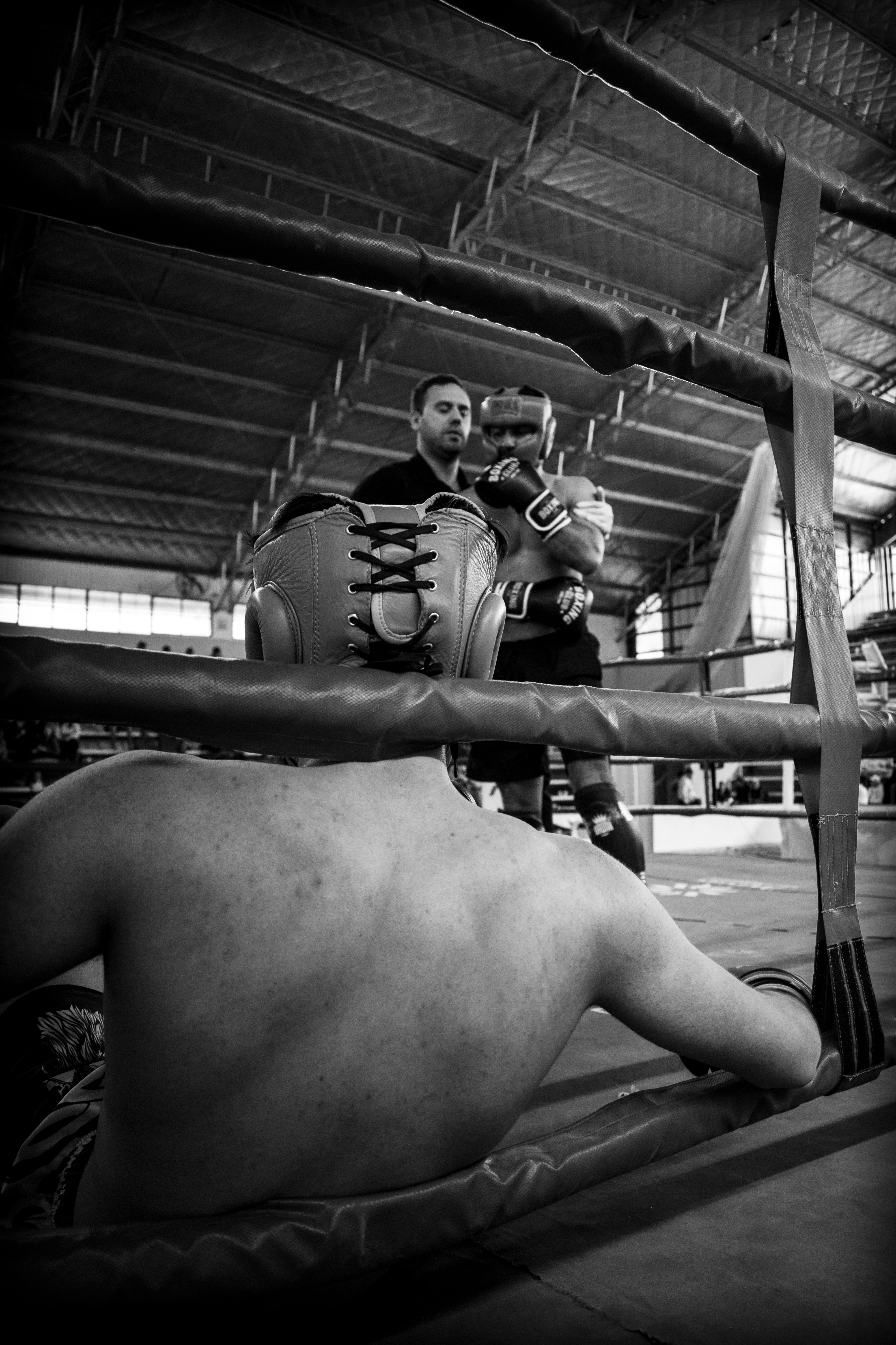 Foto profissional gratuita de ação de boxe, ambiente de boxe, anel de ...