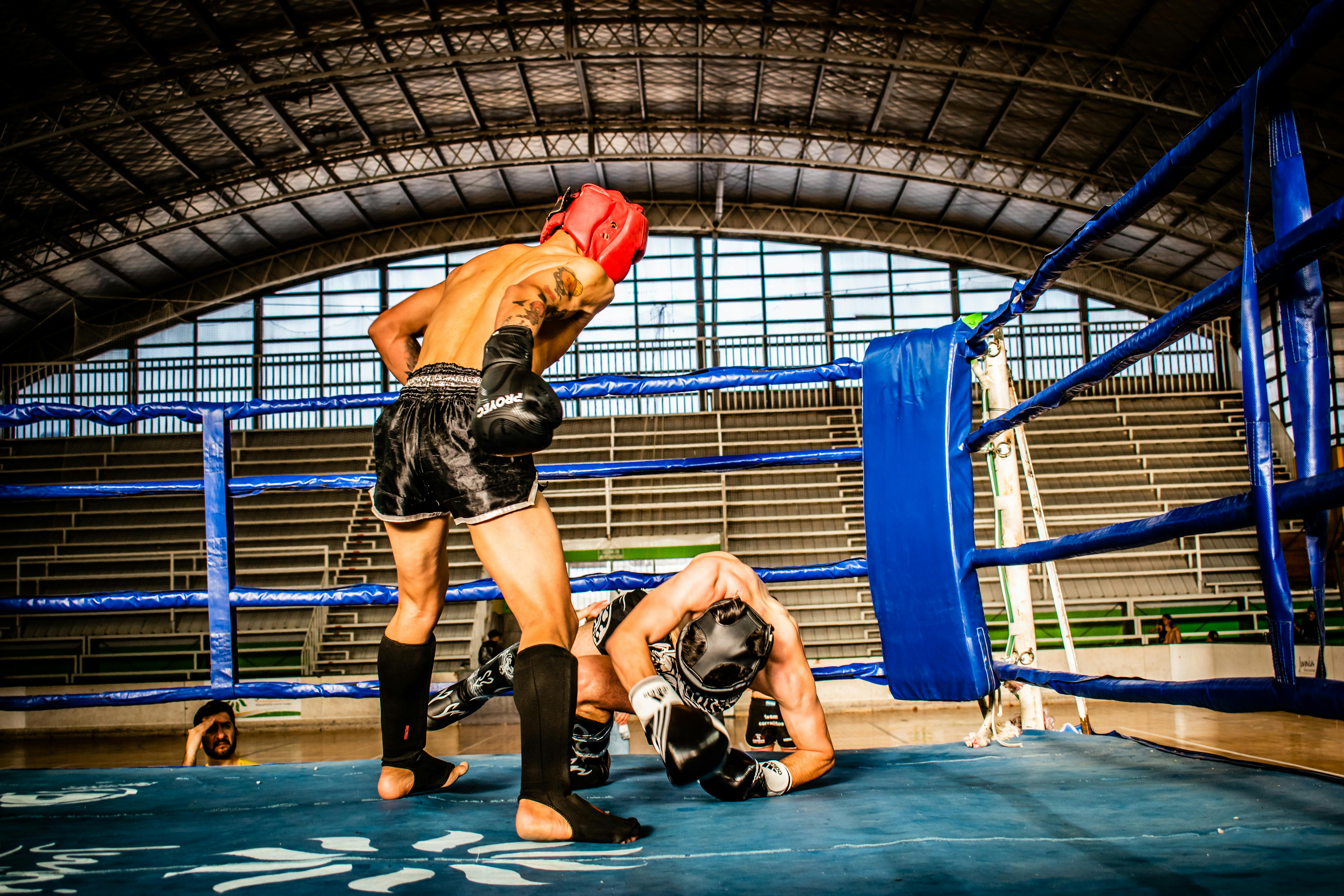 Two Boxers in a Ring · Free Stock Photo