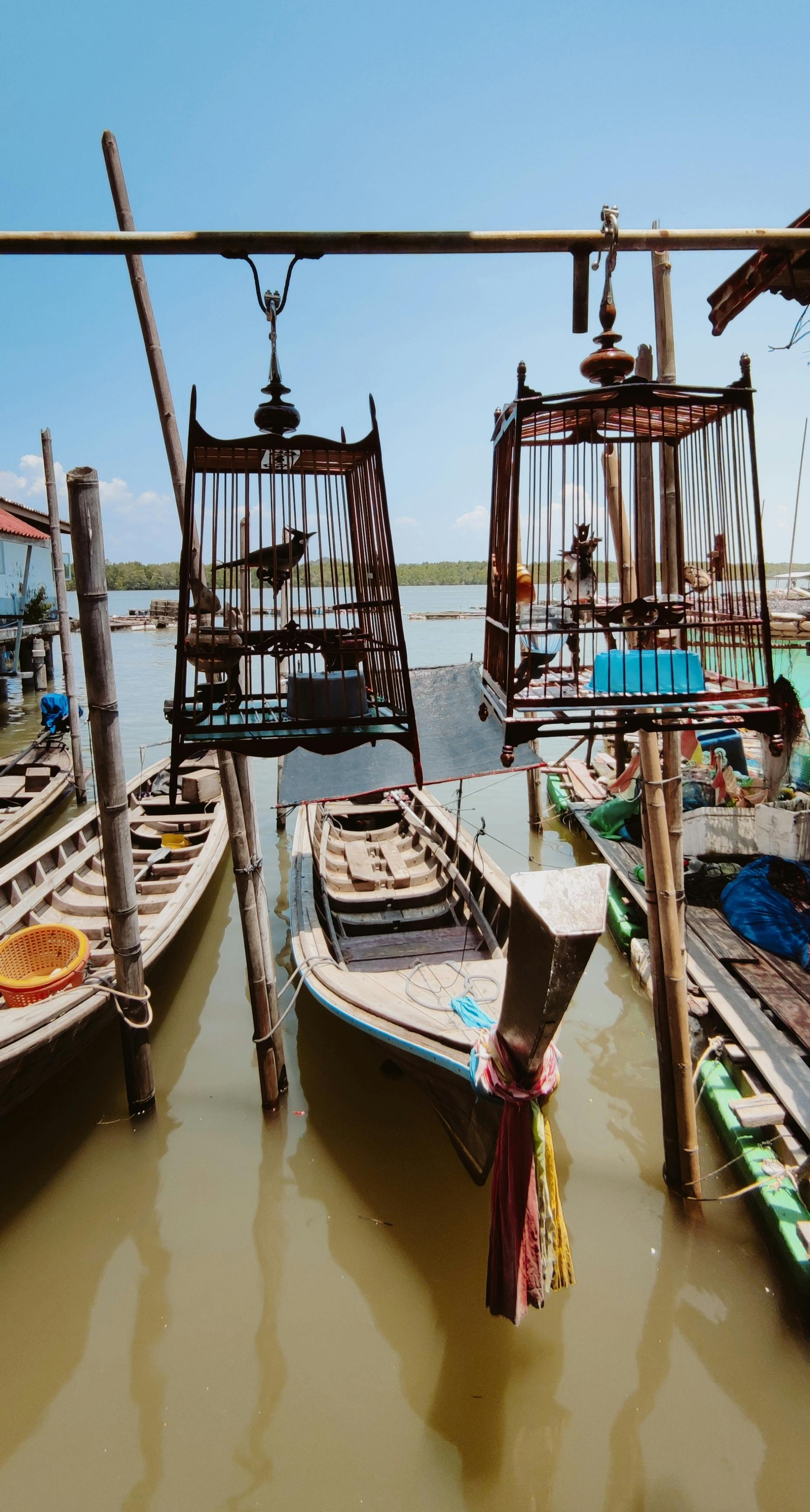 ana simona bevecz - Photography