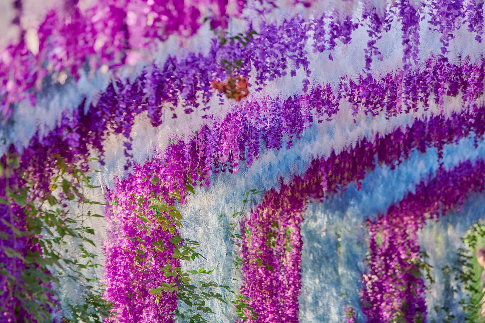 Abstract Lavender Photos, Download The BEST Free Abstract Lavender ...