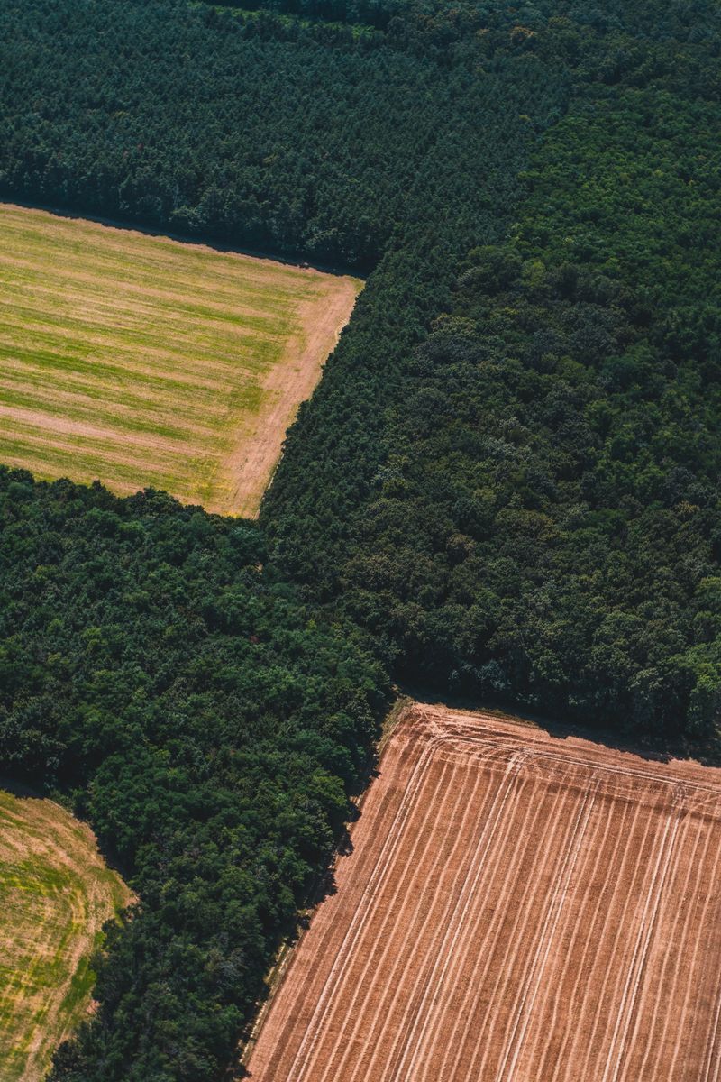 Before And After Deforestation Photos, Download The BEST Free Before ...