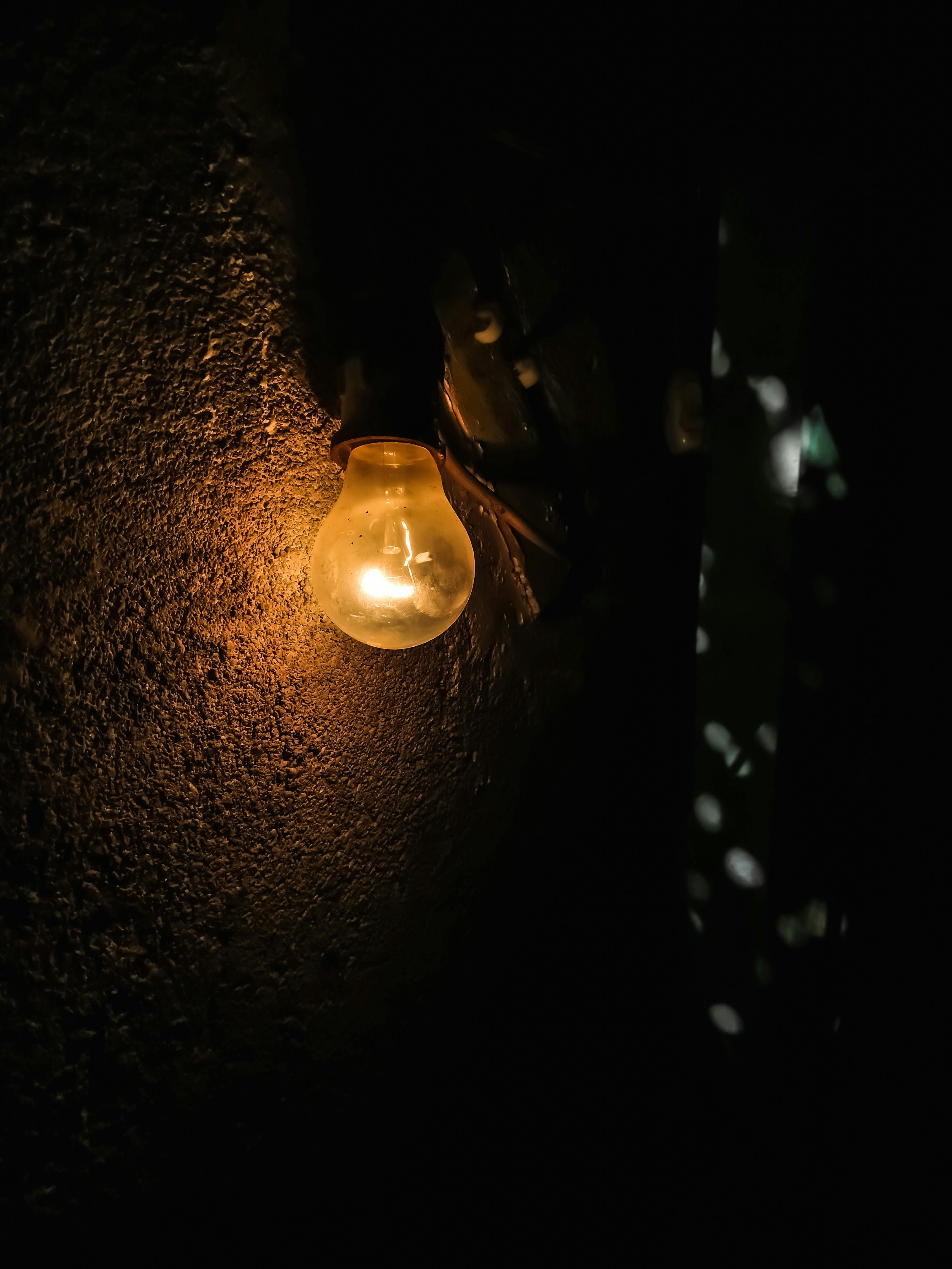 Shining Light Bulb · Free Stock Photo