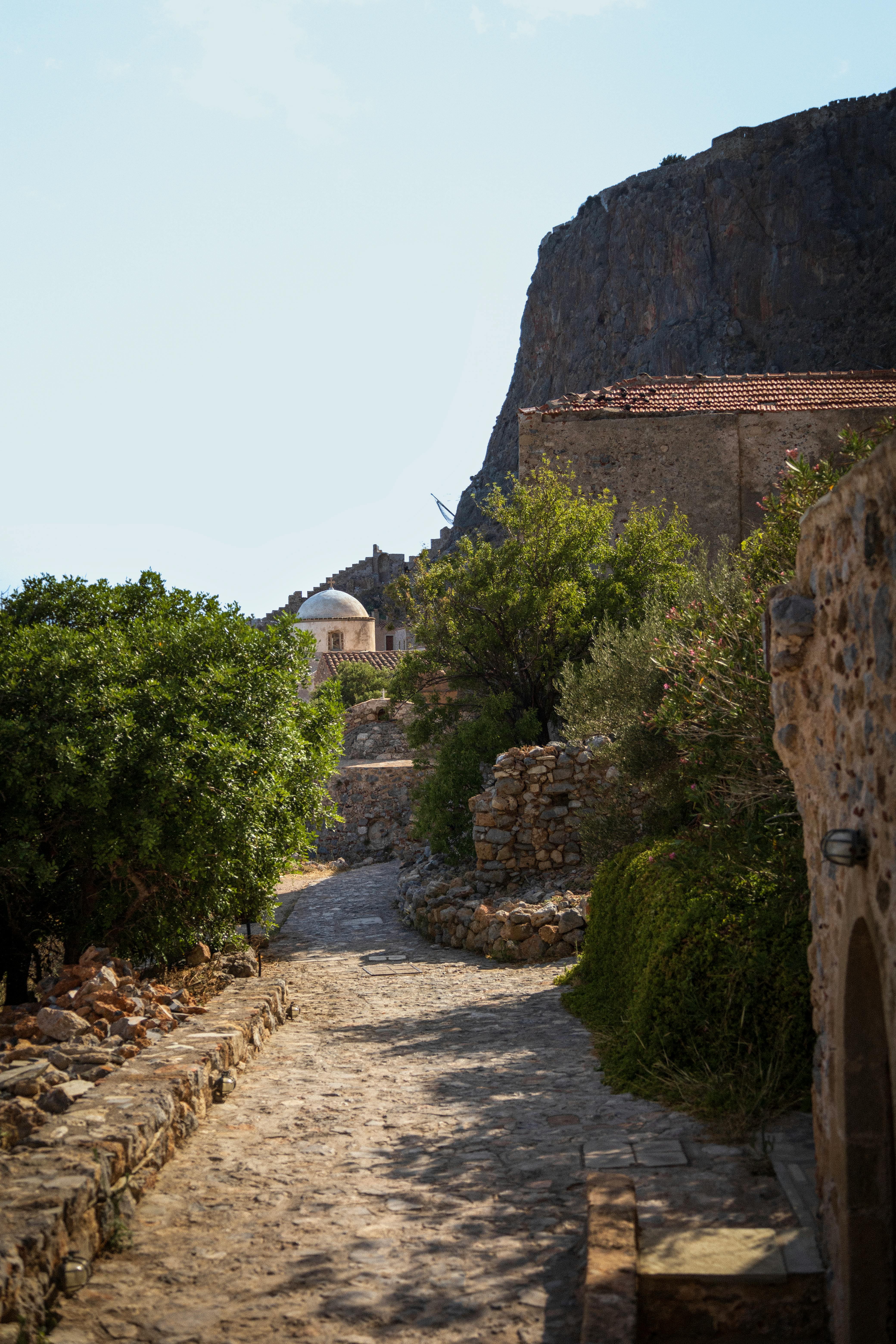 White Flowering Trees In Bloom On The Side Of A Building Surrounded ...
