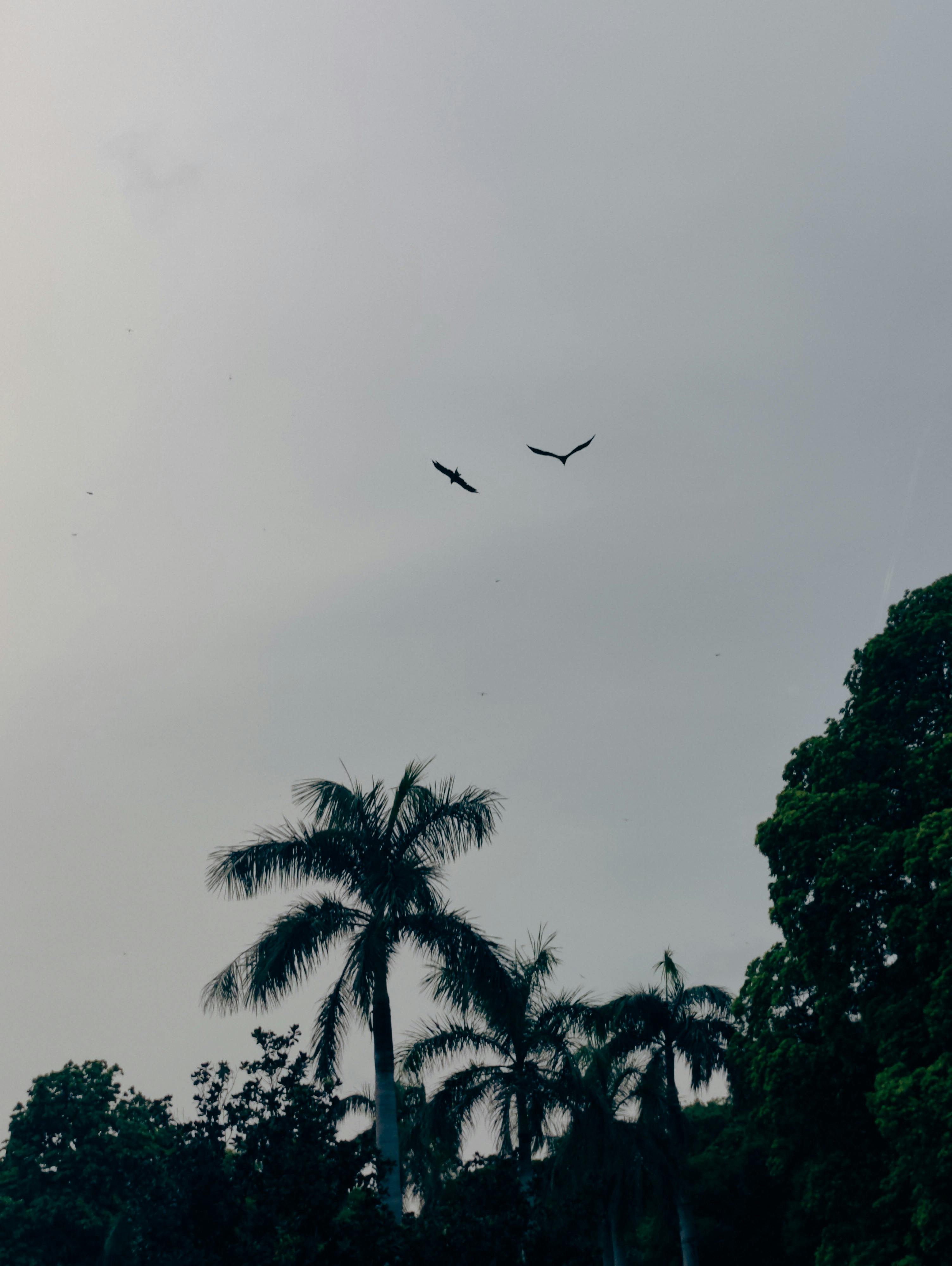 Bilal Akram - Photography