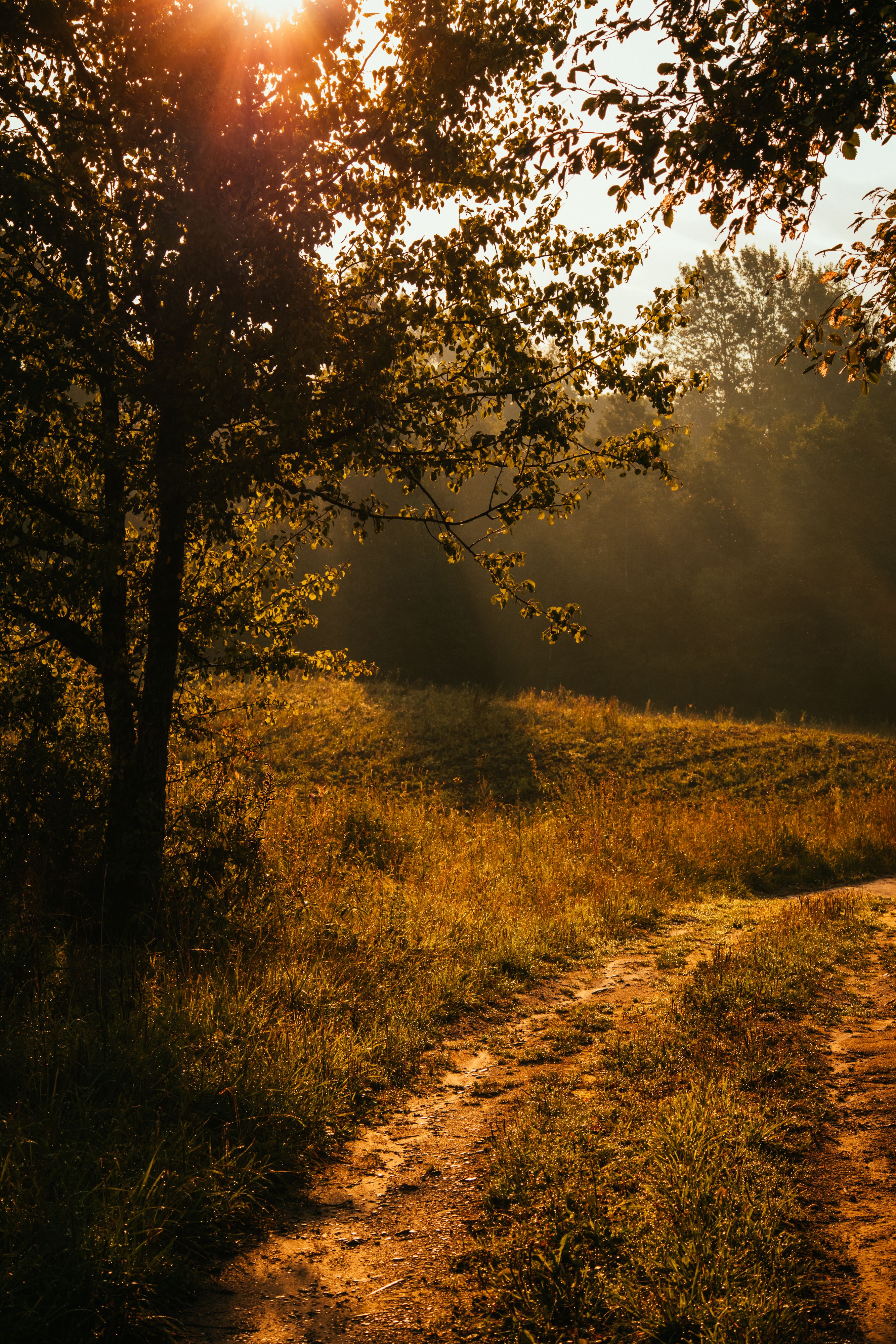 Dirt Road and Grassland at Sunset · Free Stock Photo