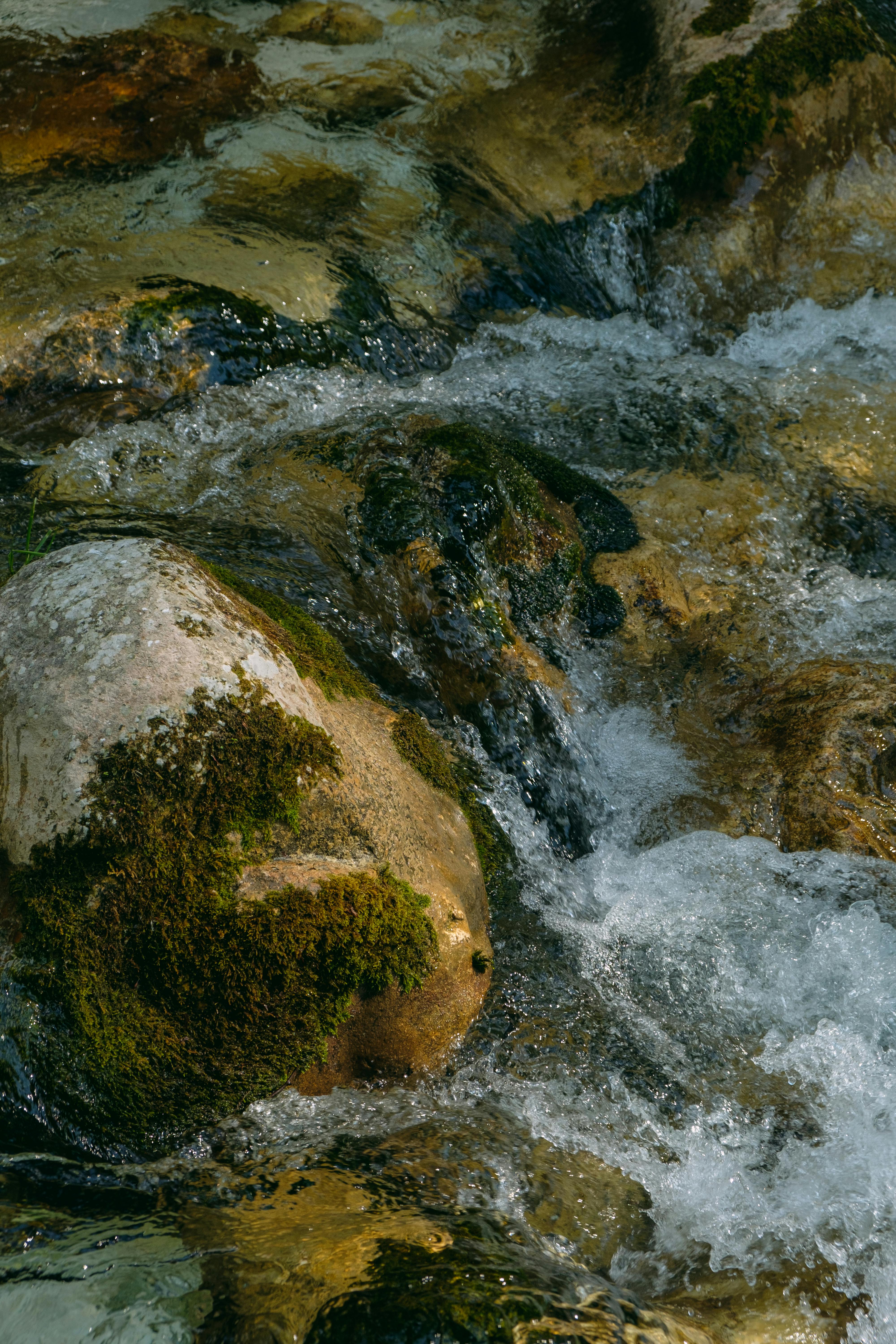 Close up of Stream Water Flowing over Rocks · Free Stock Photo