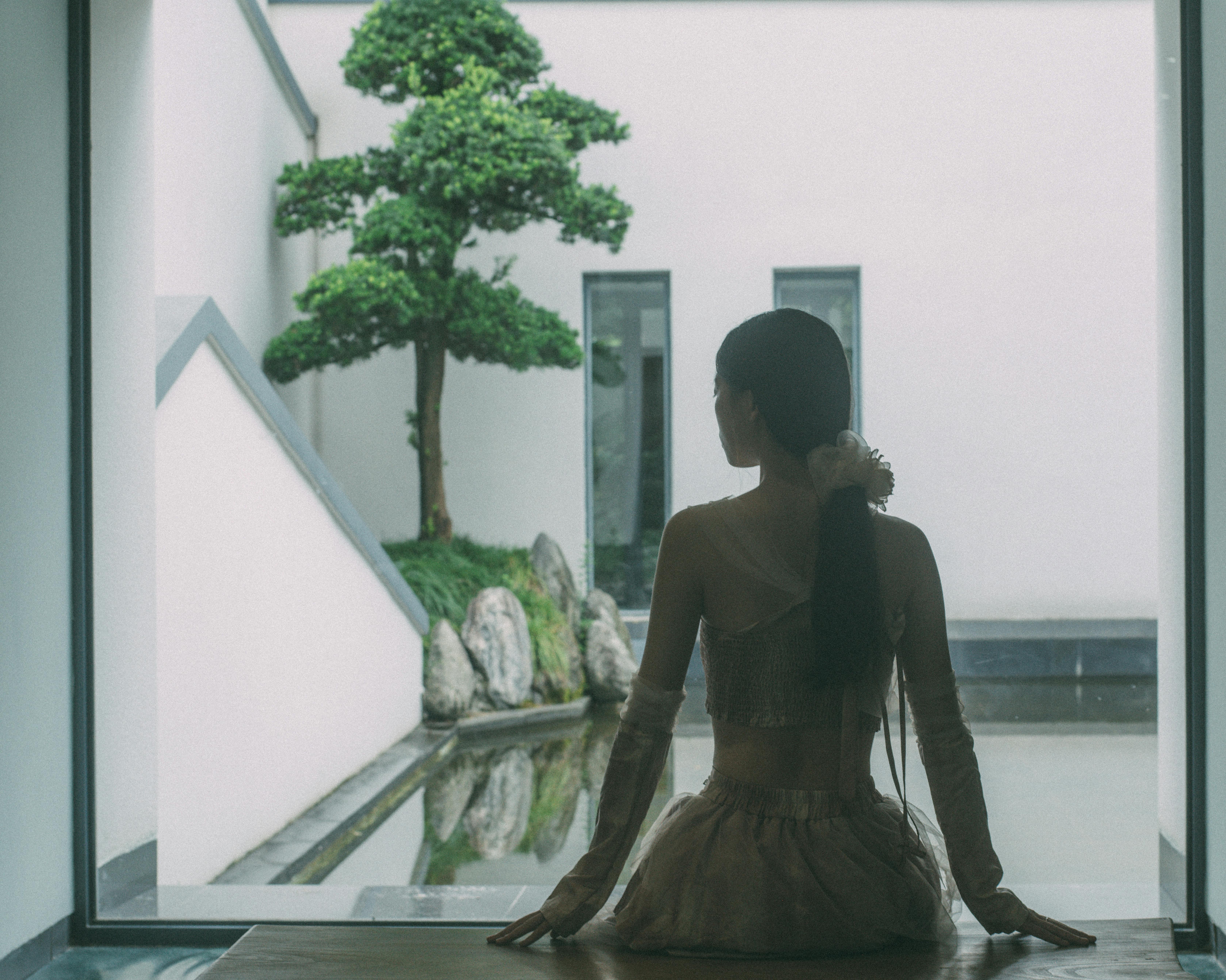 Bonsai Bomen Photos, Download The BEST Free Bonsai Bomen Stock Photos ...