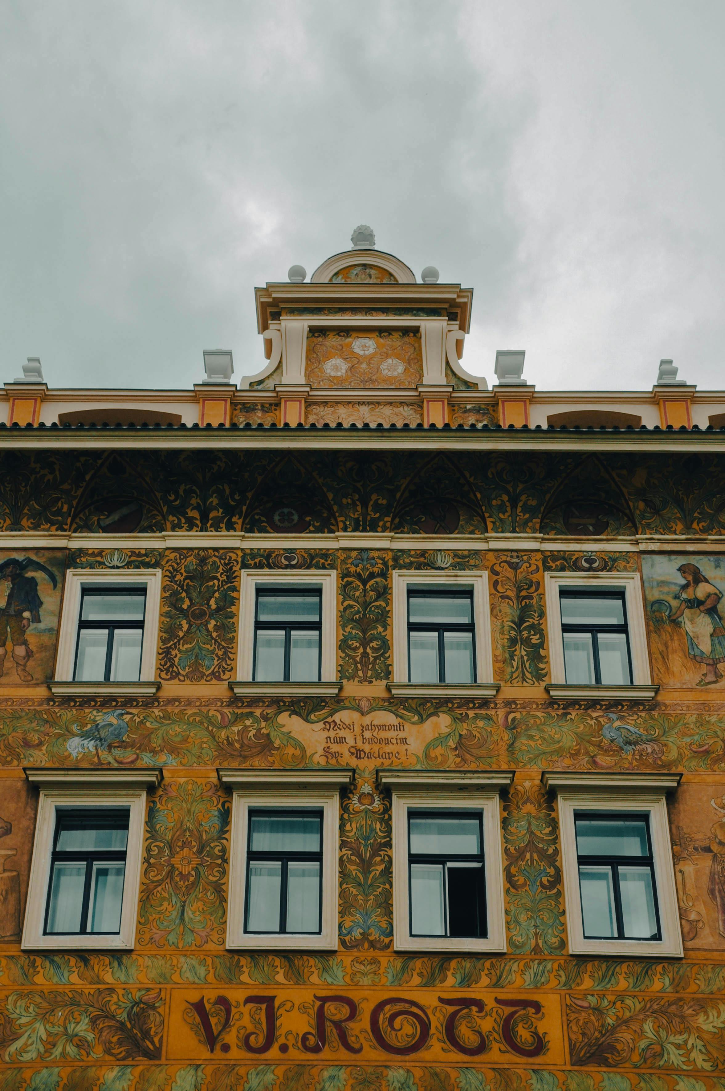 Rott Photos, Download The BEST Free Rott Stock Photos & HD Images