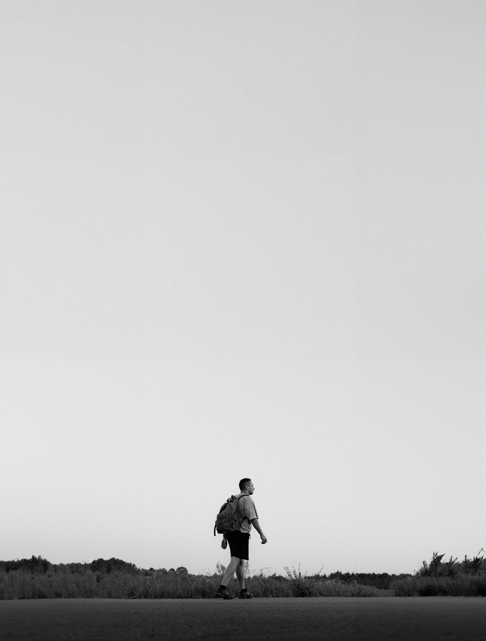 Back Grounds Photos, Download The BEST Free Back Grounds Stock Photos ...