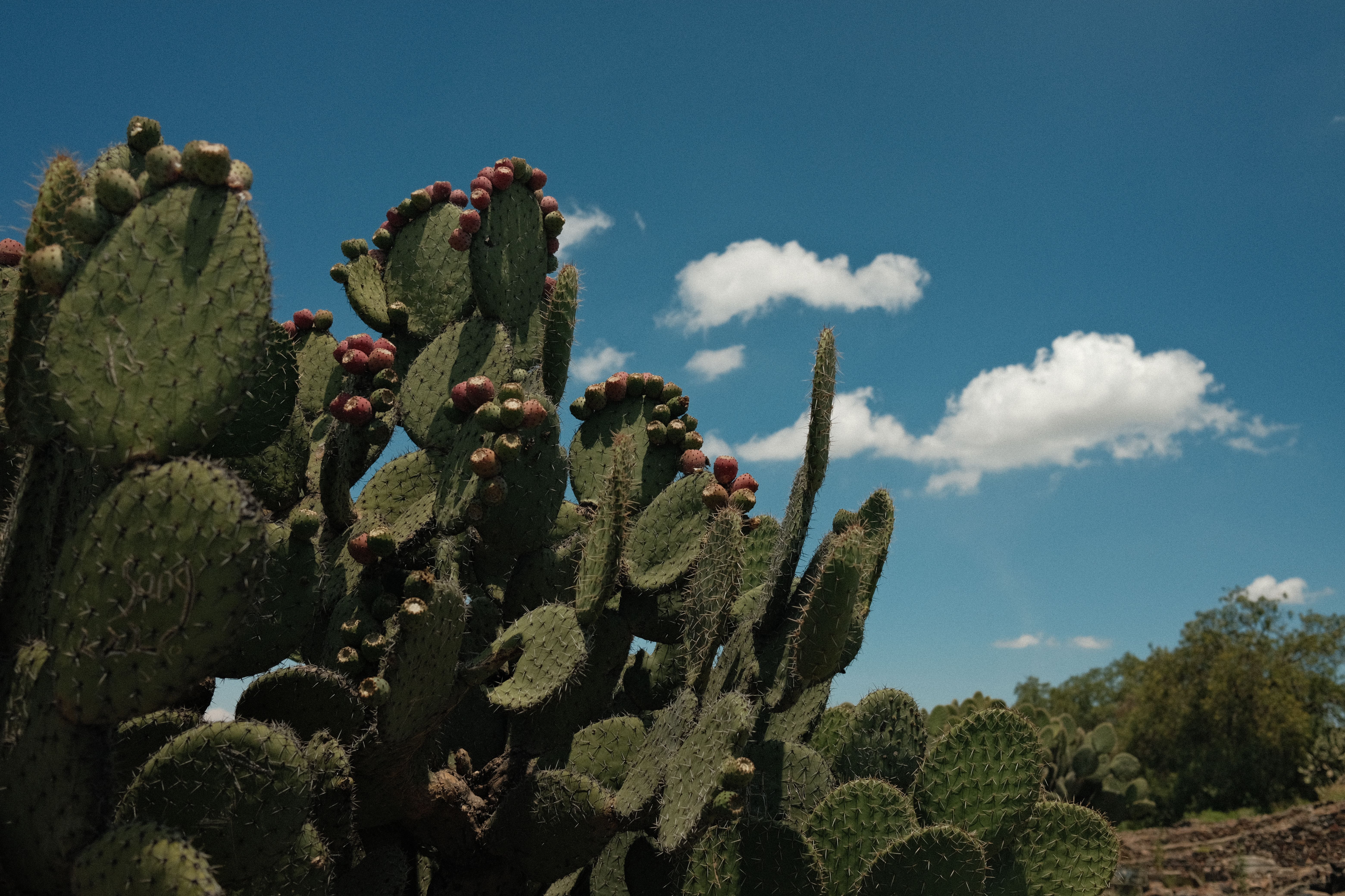 Foto de stock gratuita sobre al aire libre, américa del sur, árido ...
