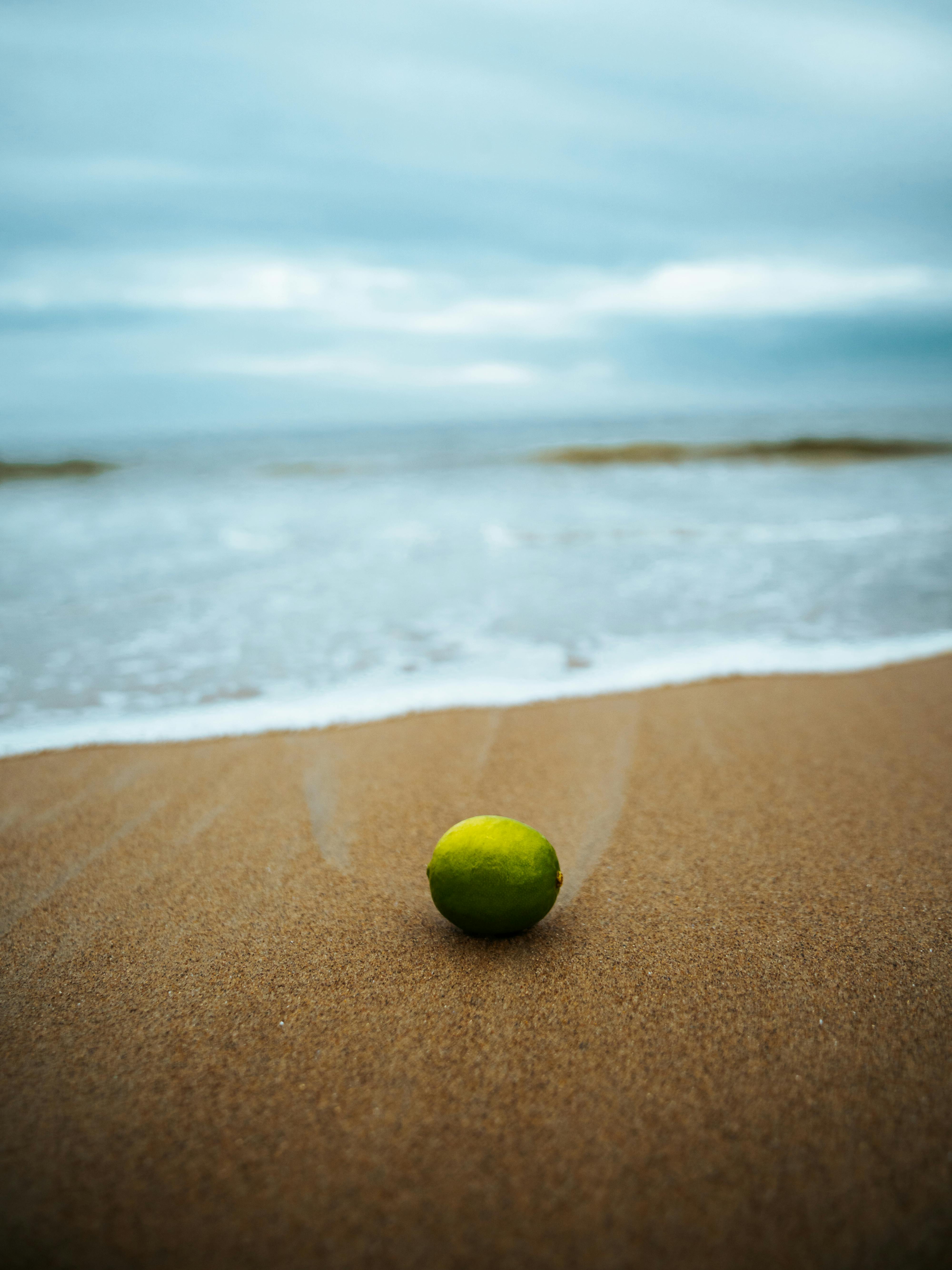 Sea Lime Photos, Download The BEST Free Sea Lime Stock Photos & HD Images