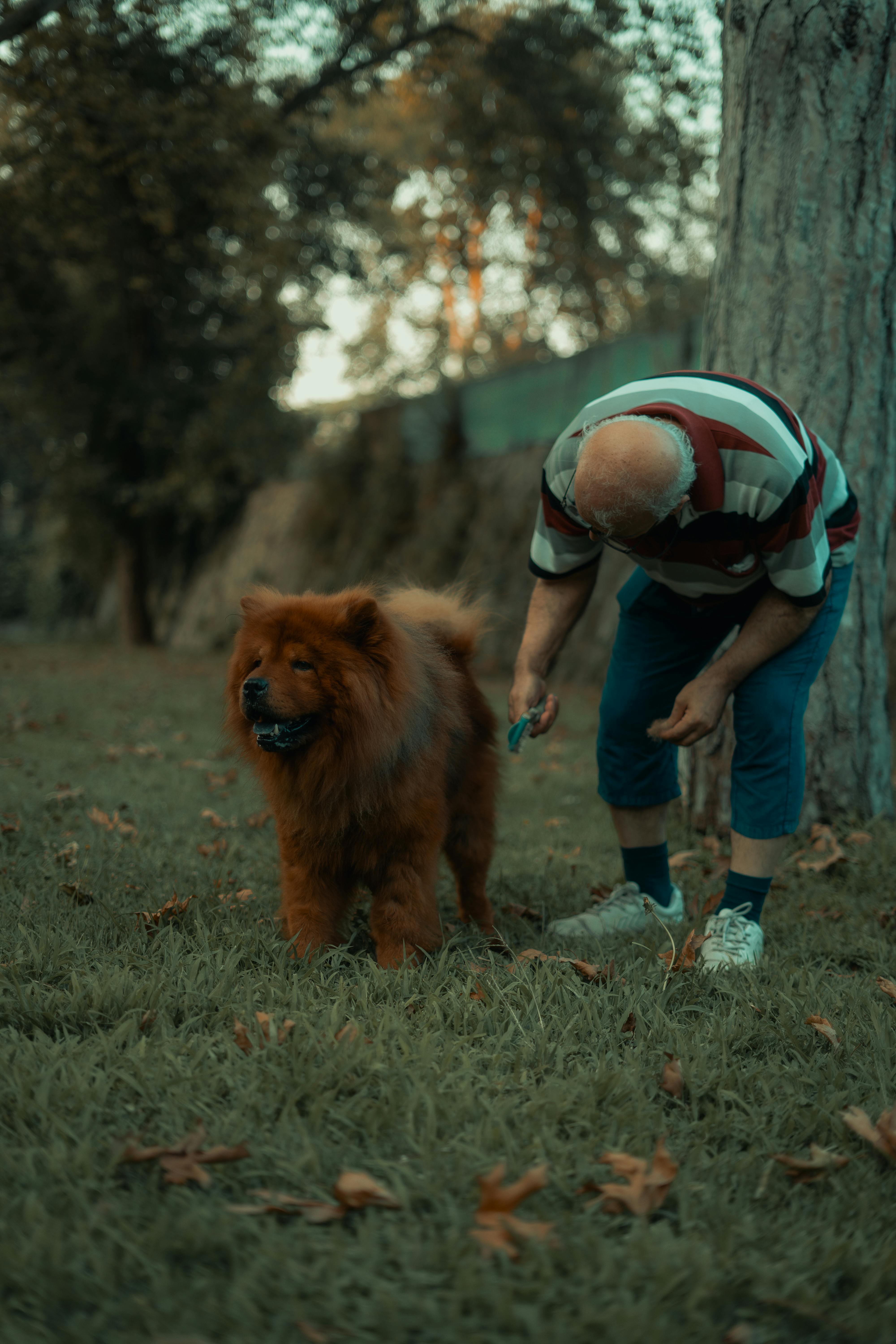 Dog Bending Photos, Download The BEST Free Dog Bending Stock Photos ...