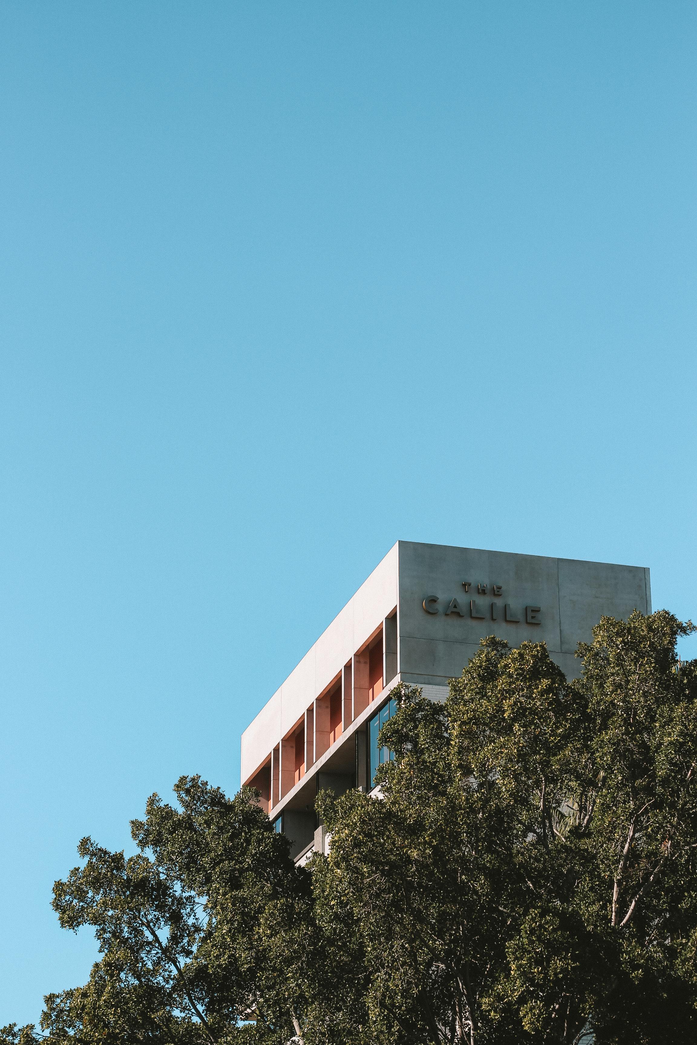 Apartment Building Behind Trees in Australia · Free Stock Photo