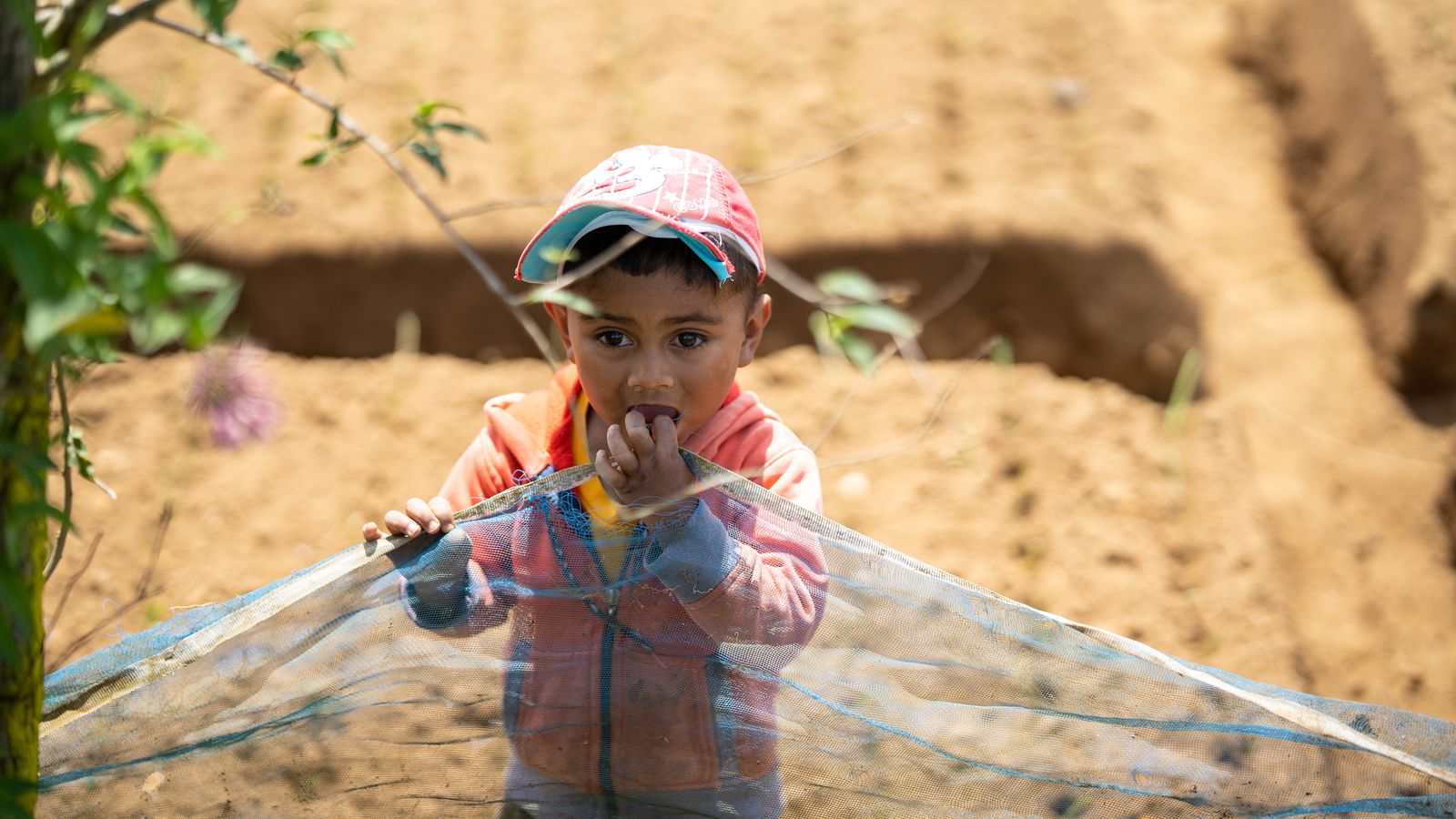Sri Lankan Boy Photos Download The Best Free Sri Lankan Boy Stock 6949