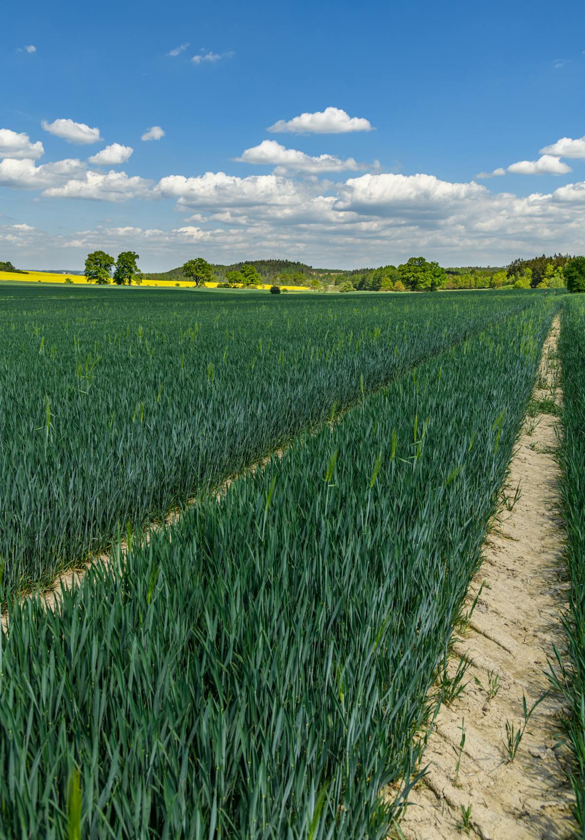 High Resolution Farm Photos, Download The BEST Free High Resolution ...