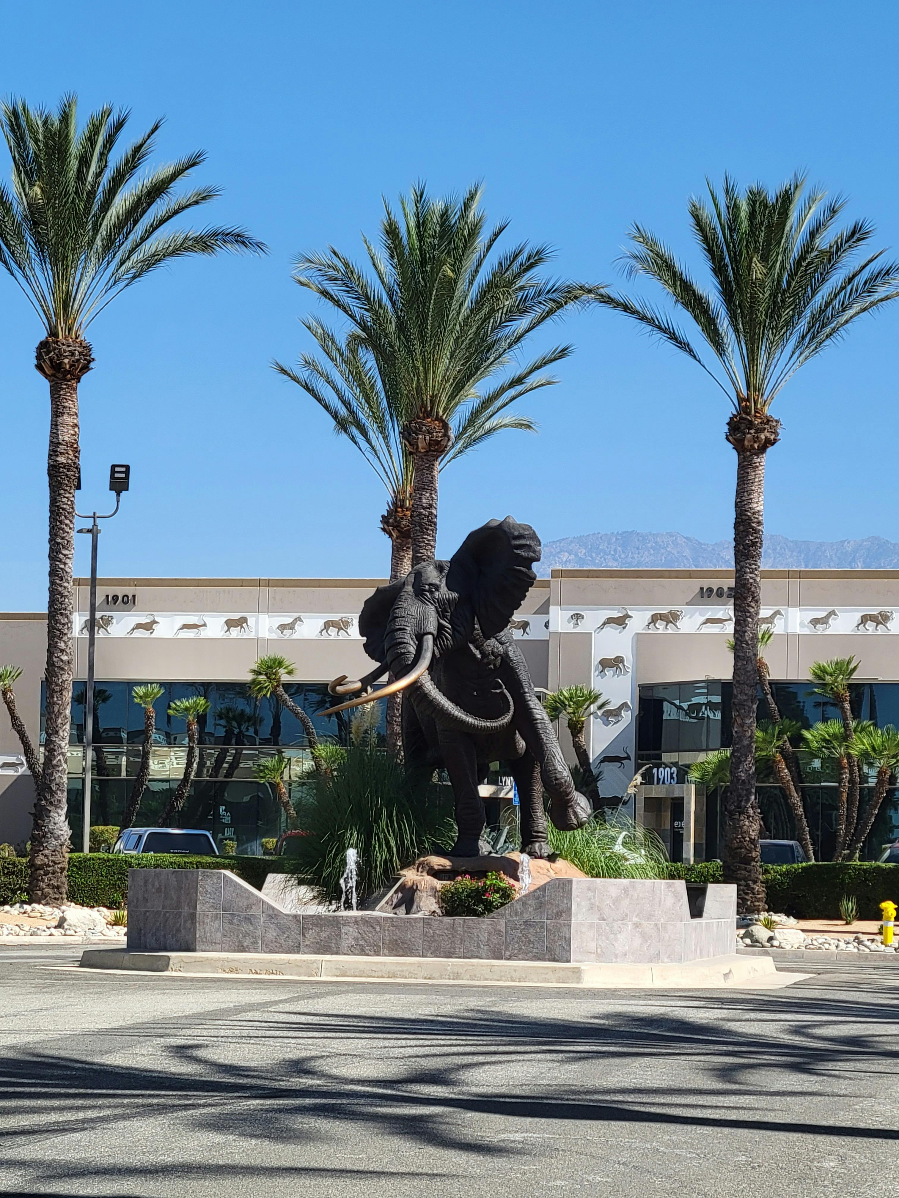 Lizeth Chavez - 사진