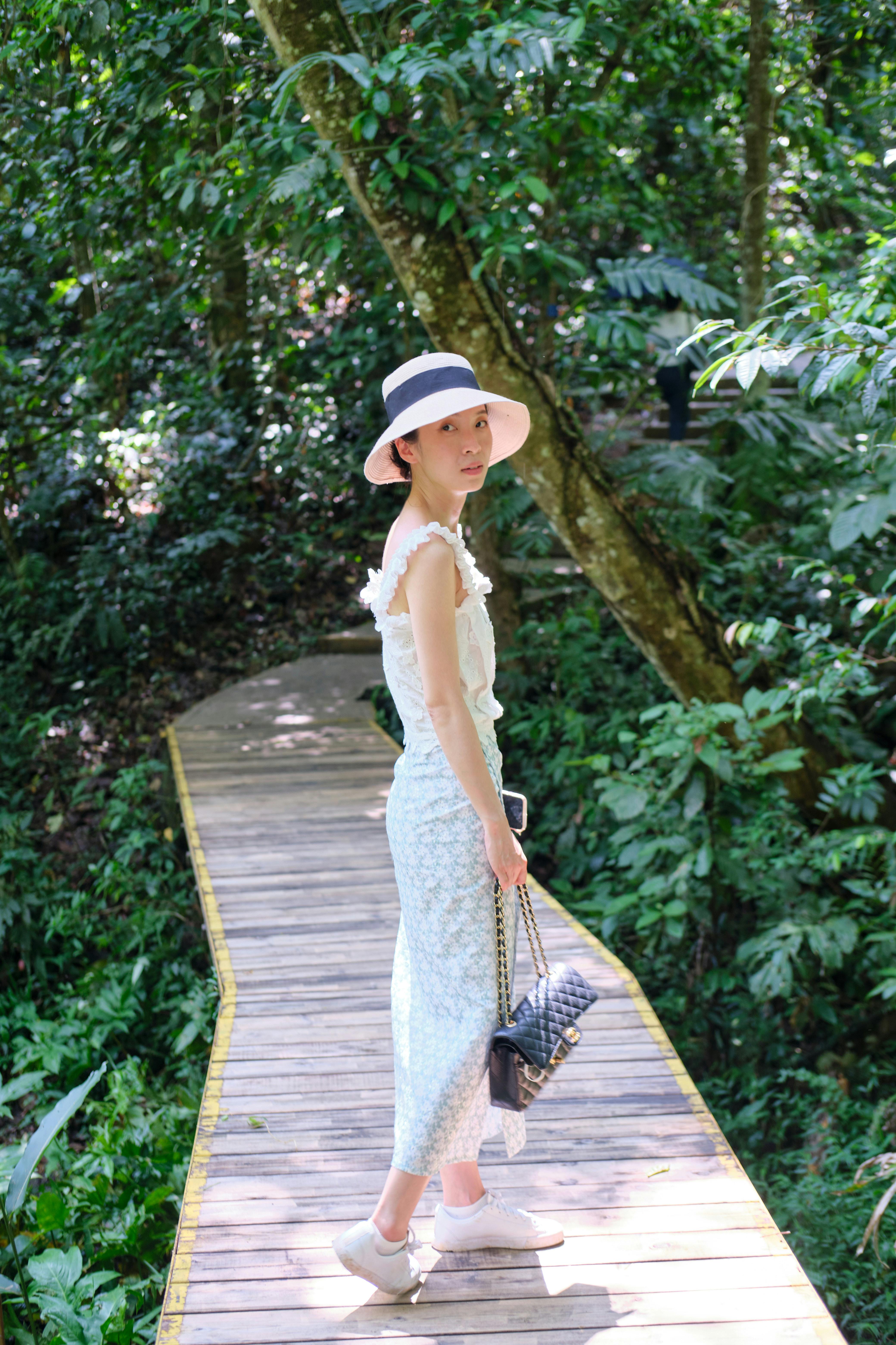 Forest Diverging Paths Photos, Download The BEST Free Forest Diverging ...