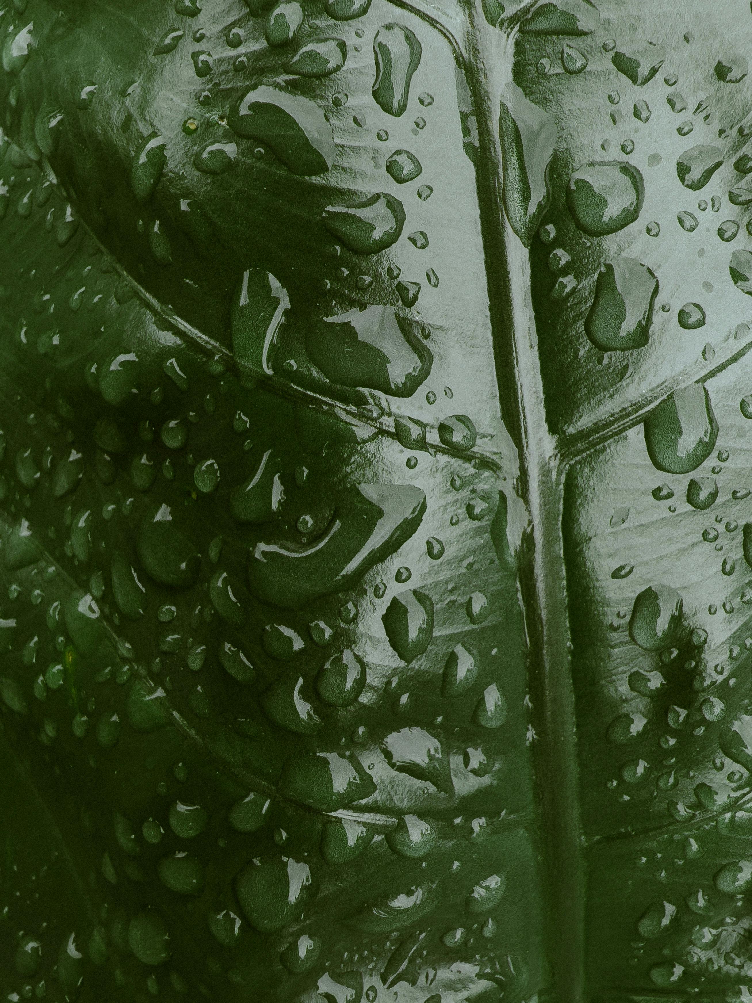 Surface Rendering Photos, Download The BEST Free Surface Rendering ...