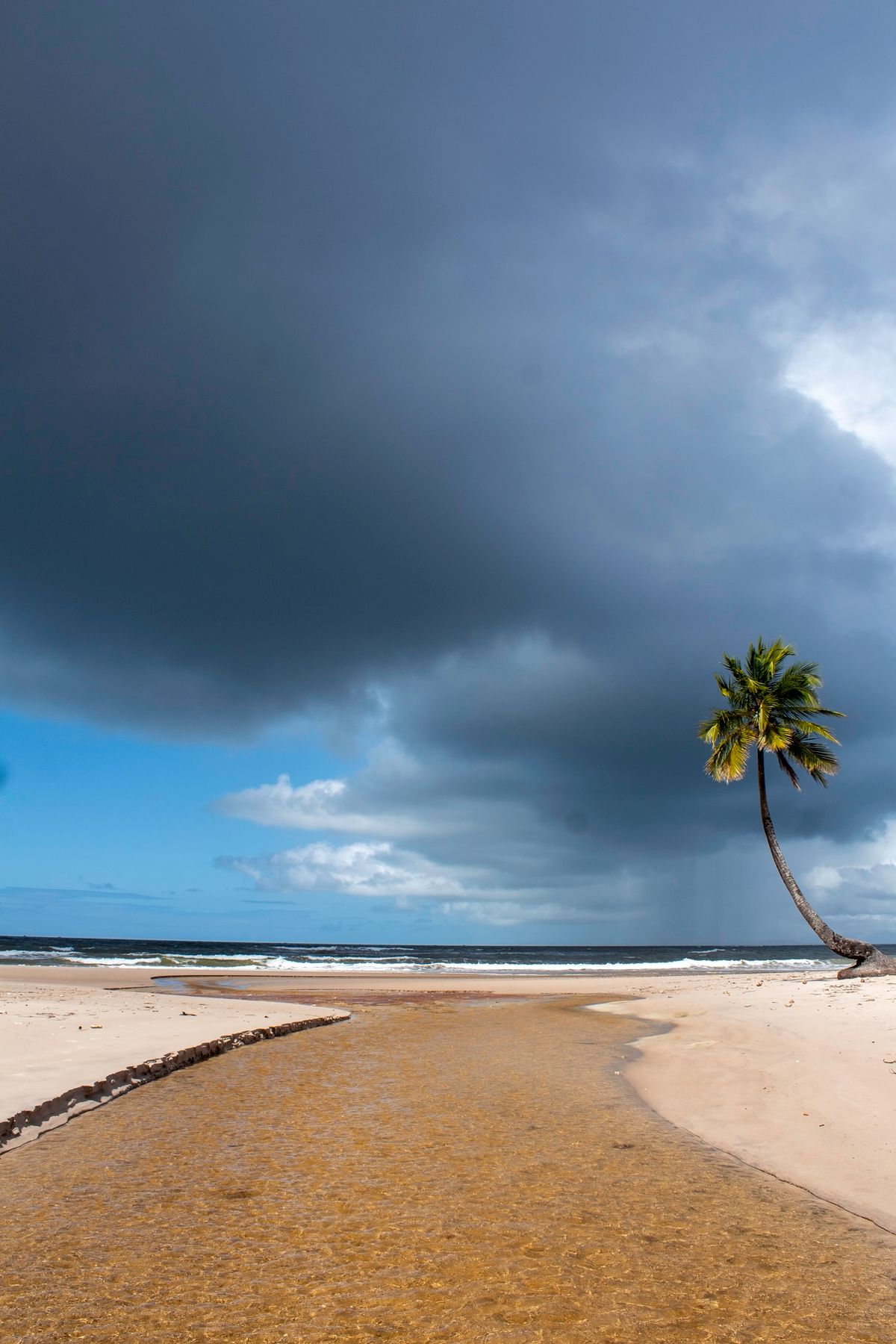 Strom Clouds Photos, Download The BEST Free Strom Clouds Stock Photos ...