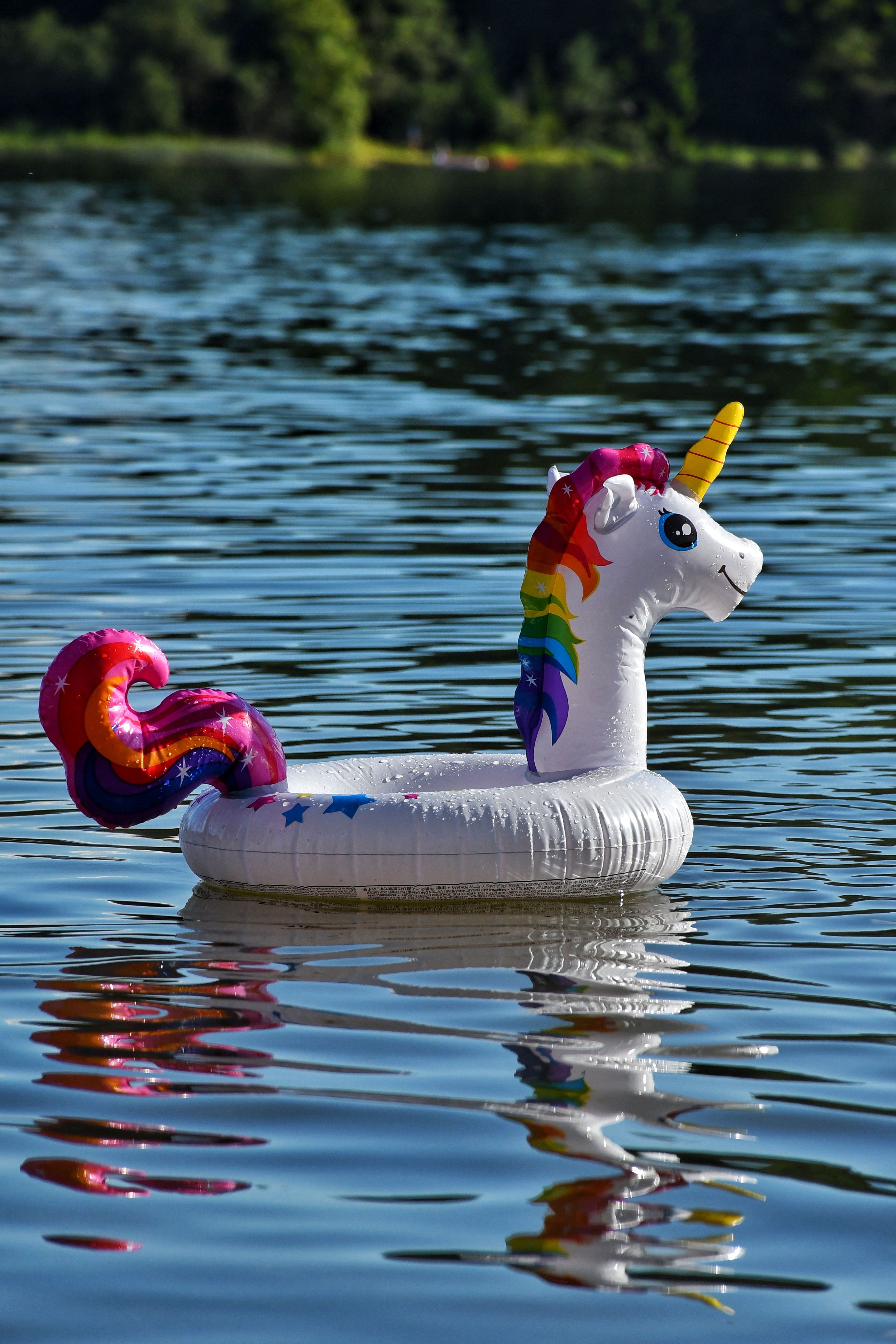 Unicorn Swim Ring Floating in a Lake · Free Stock Photo