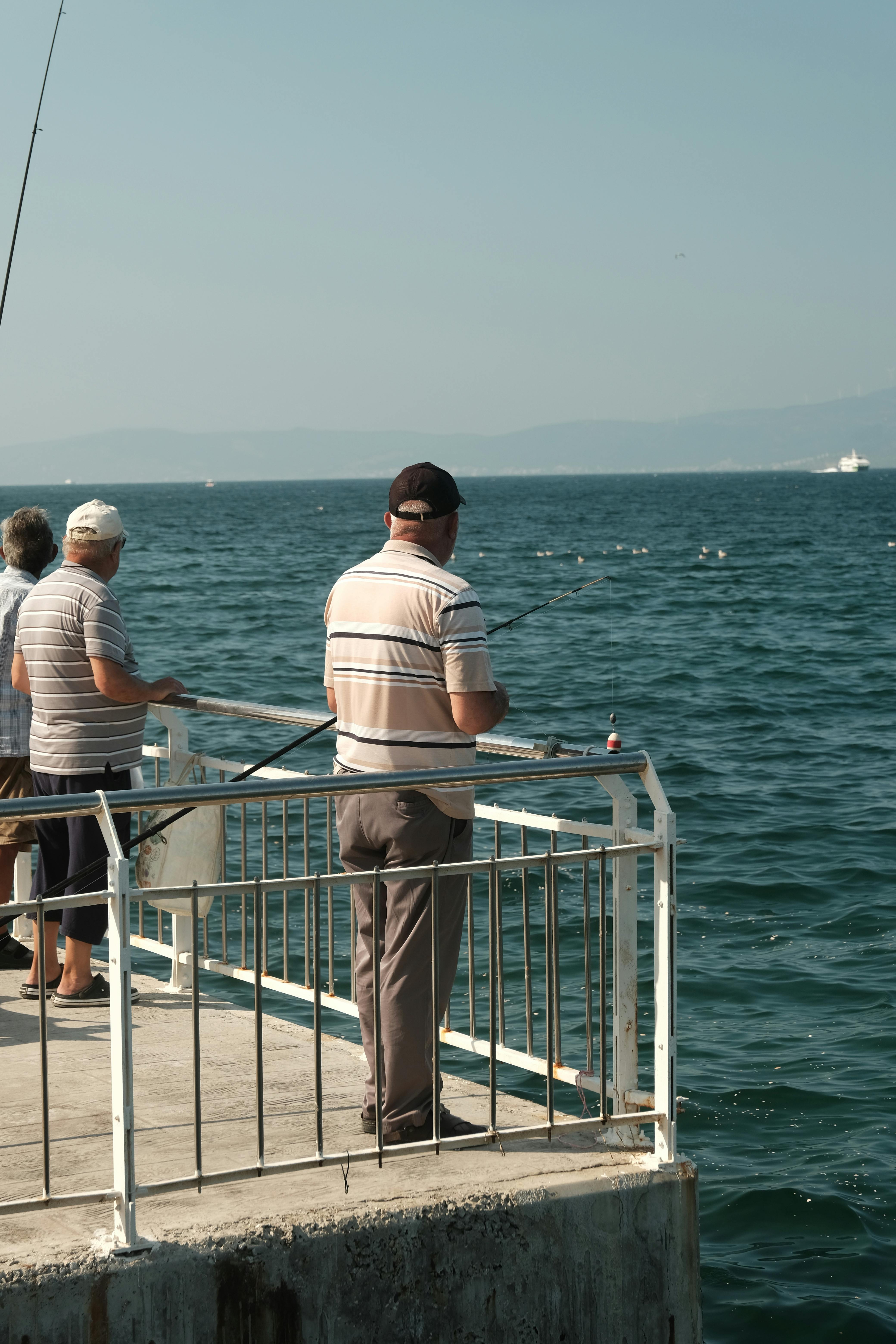 Effects Of Human Activities On Marine Life Photos, Download The BEST ...