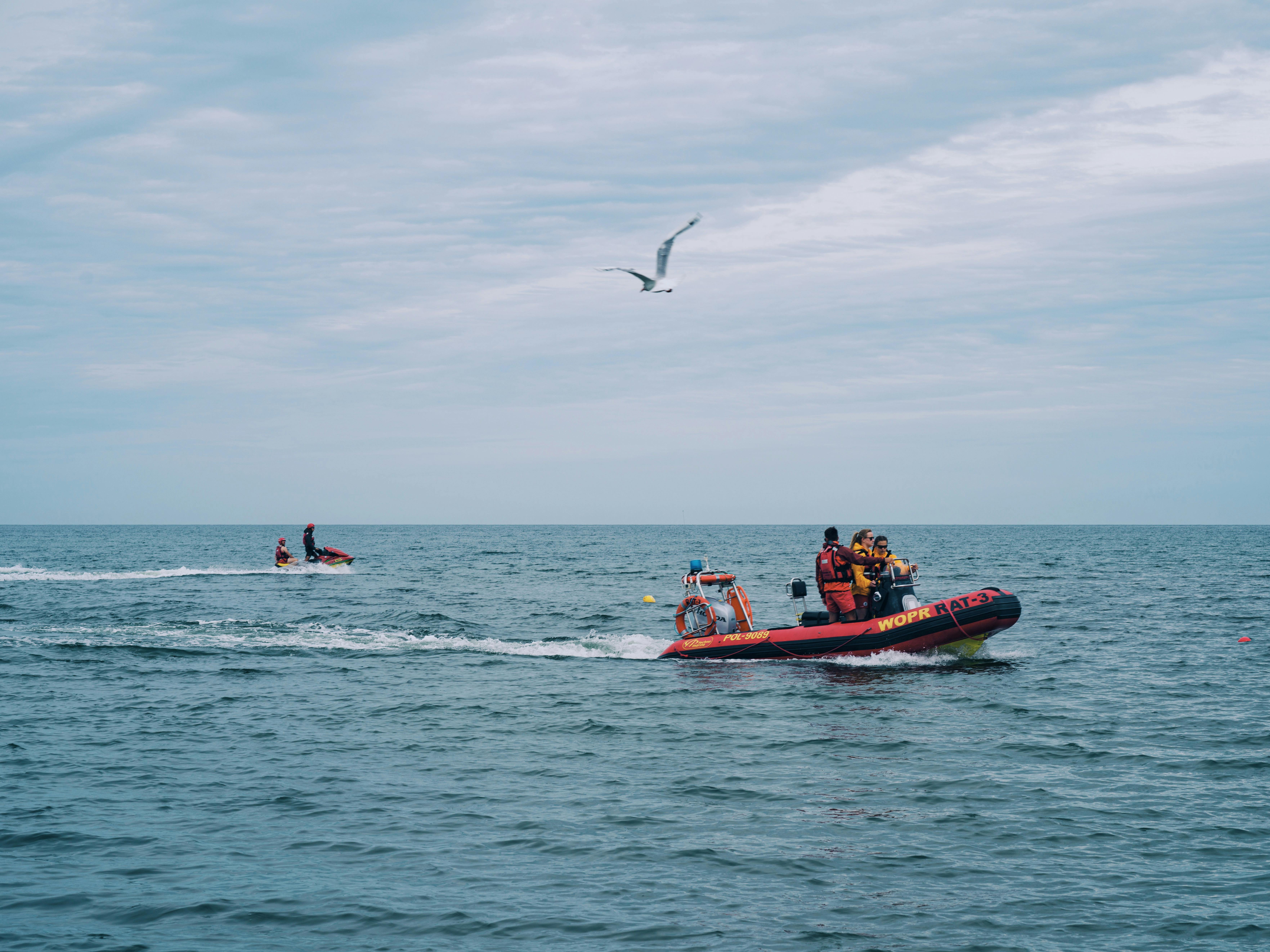 Seagull over People on Motorboat and Jet Ski · Free Stock Photo