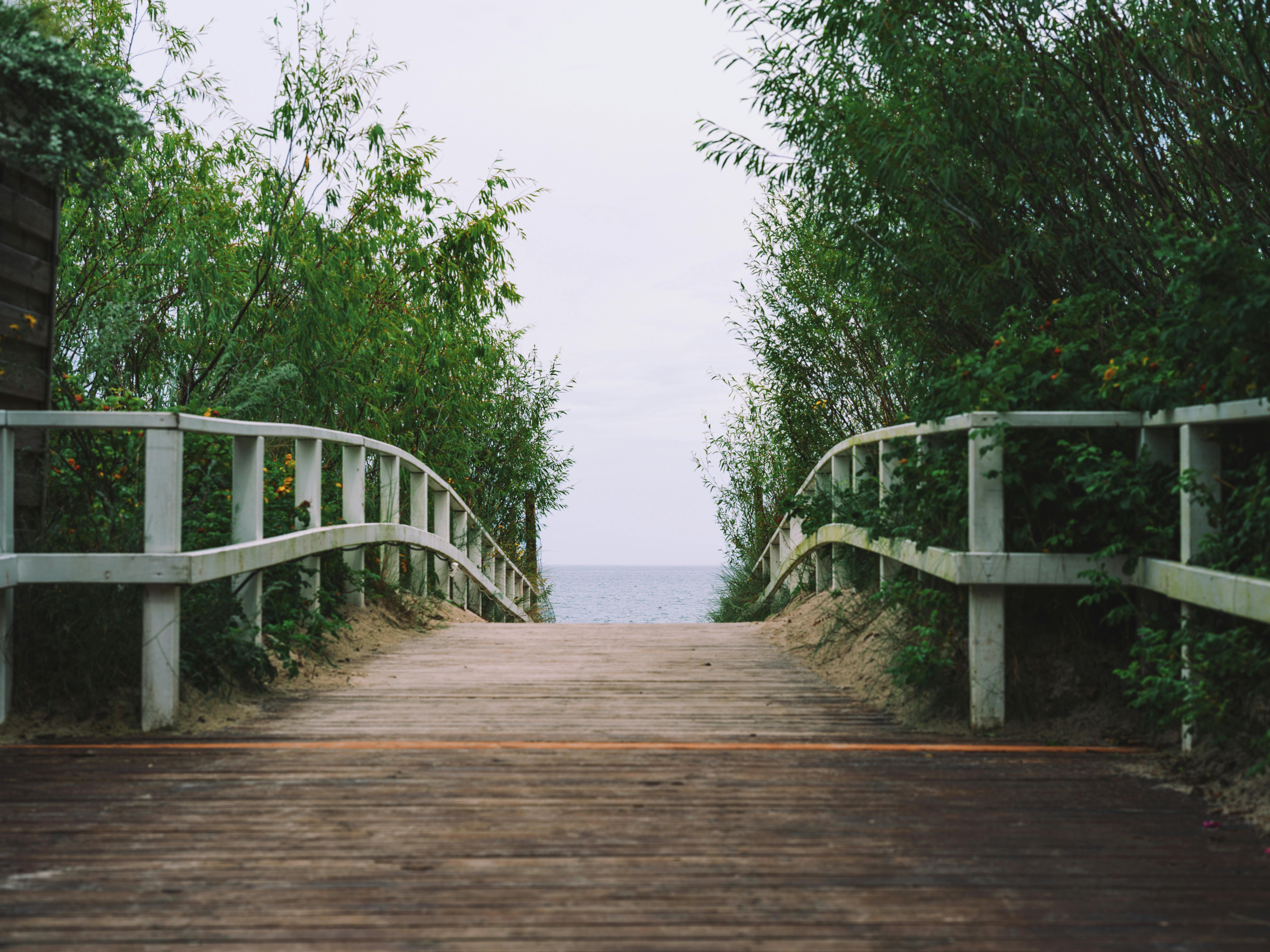 Wooden Footpath towards Sea Shore · Free Stock Photo