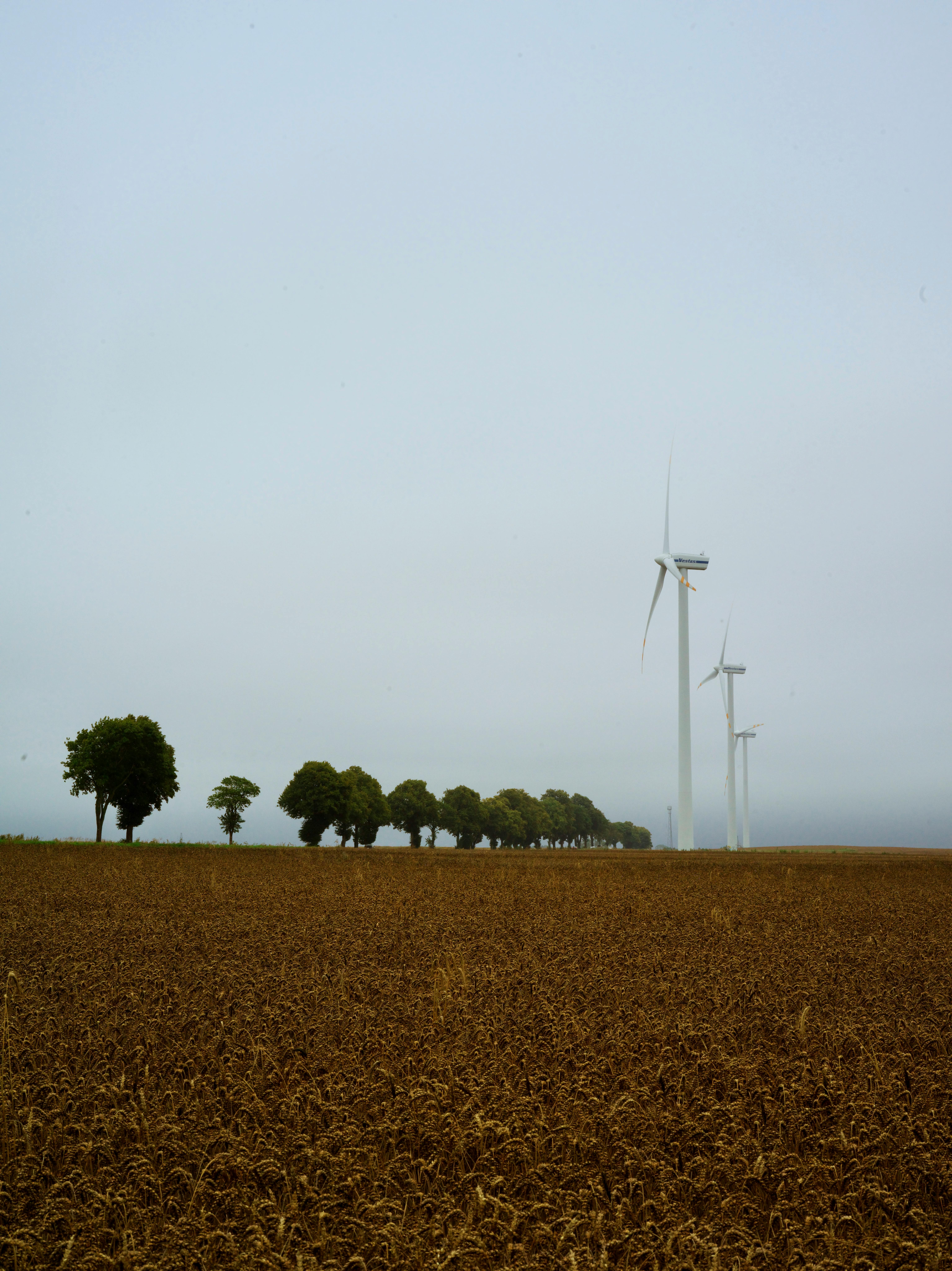 White Windmills · Free Stock Photo