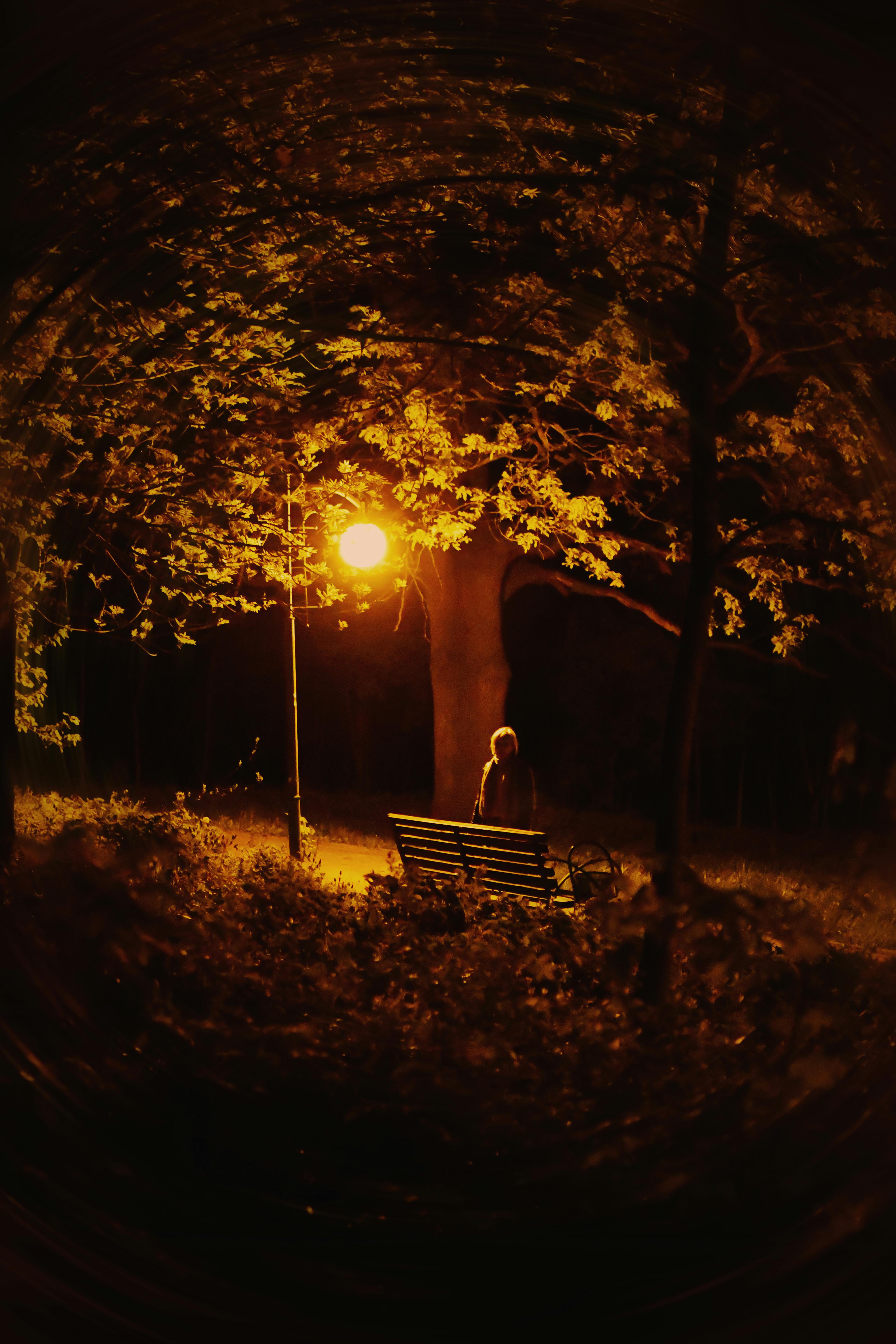 Lighted Street Lamp Post during Night Time · Free Stock Photo