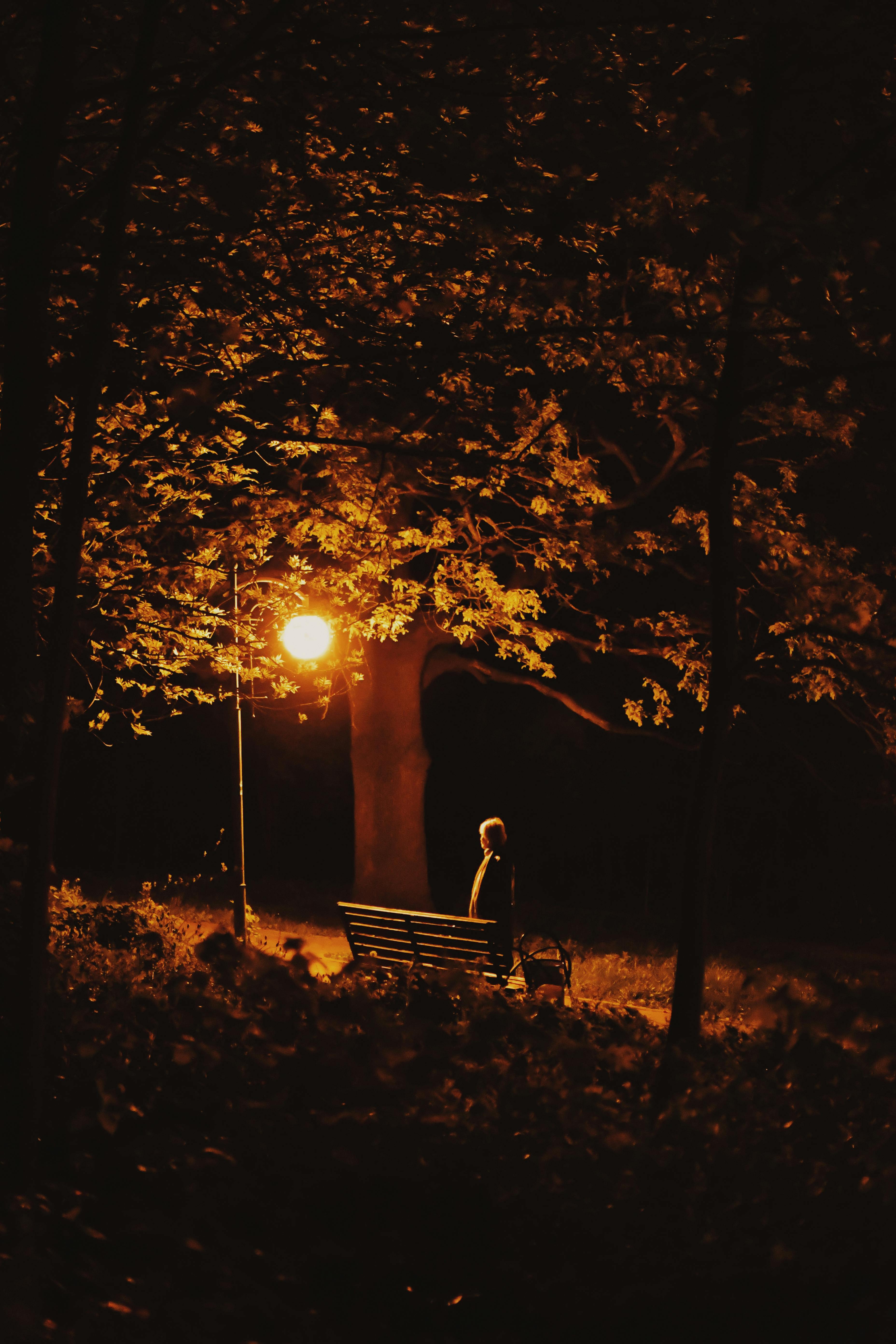 Park Night Bench Photos, Download The BEST Free Park Night Bench Stock ...