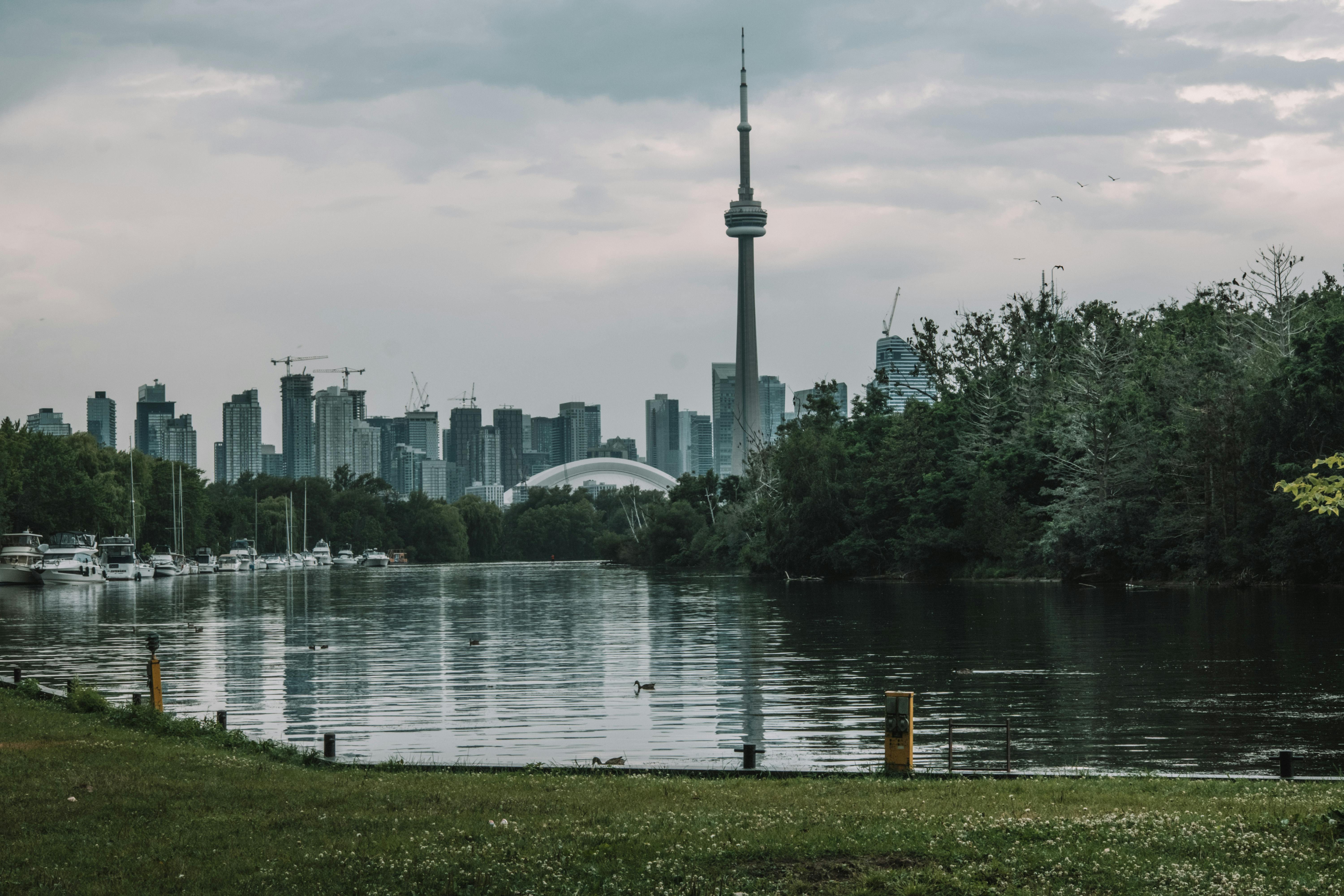 Skyline of Toronto with the View of the CN Tower · Free Stock Photo