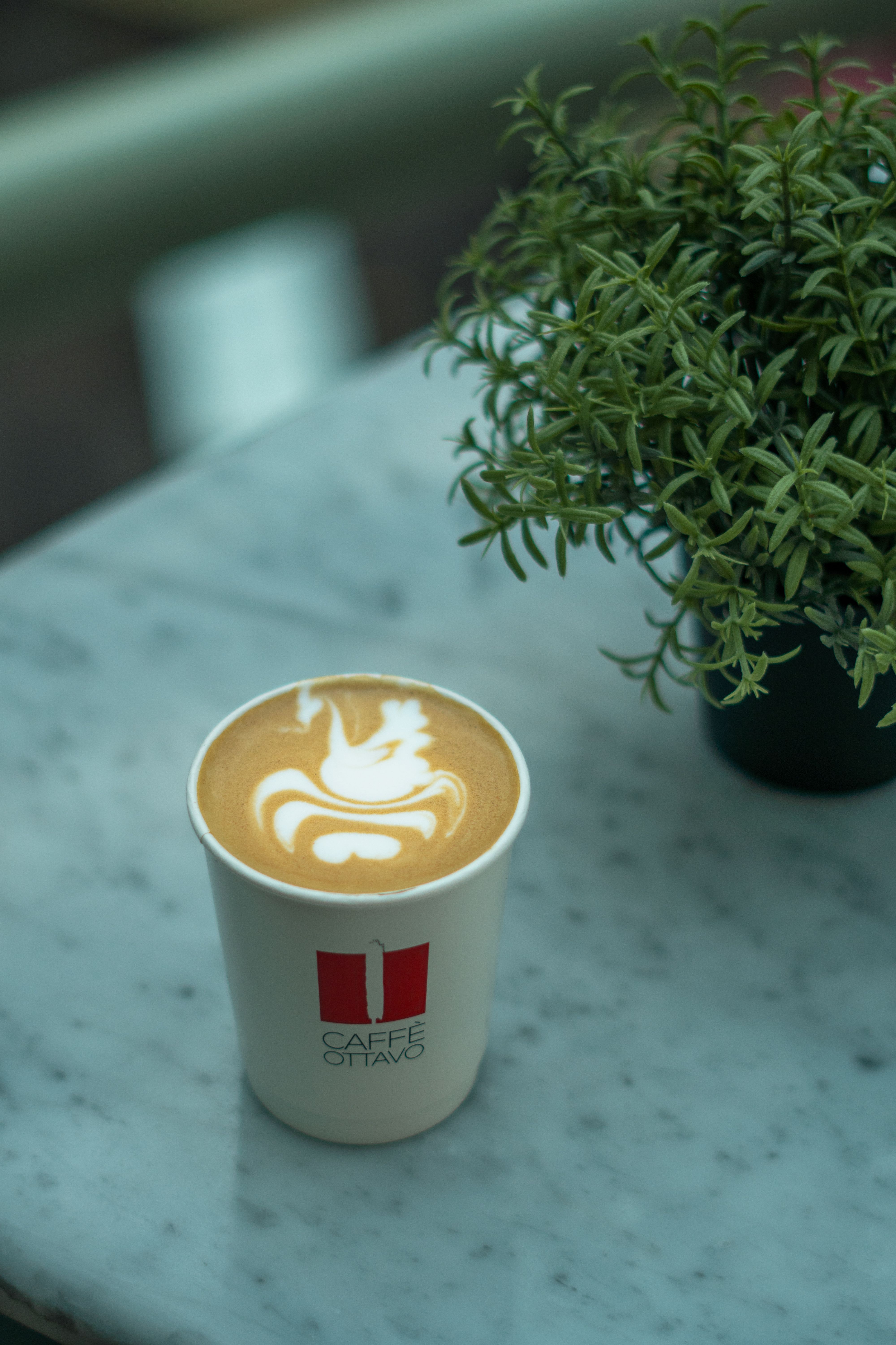 White Teacup Filled With Coffee · Free Stock Photo